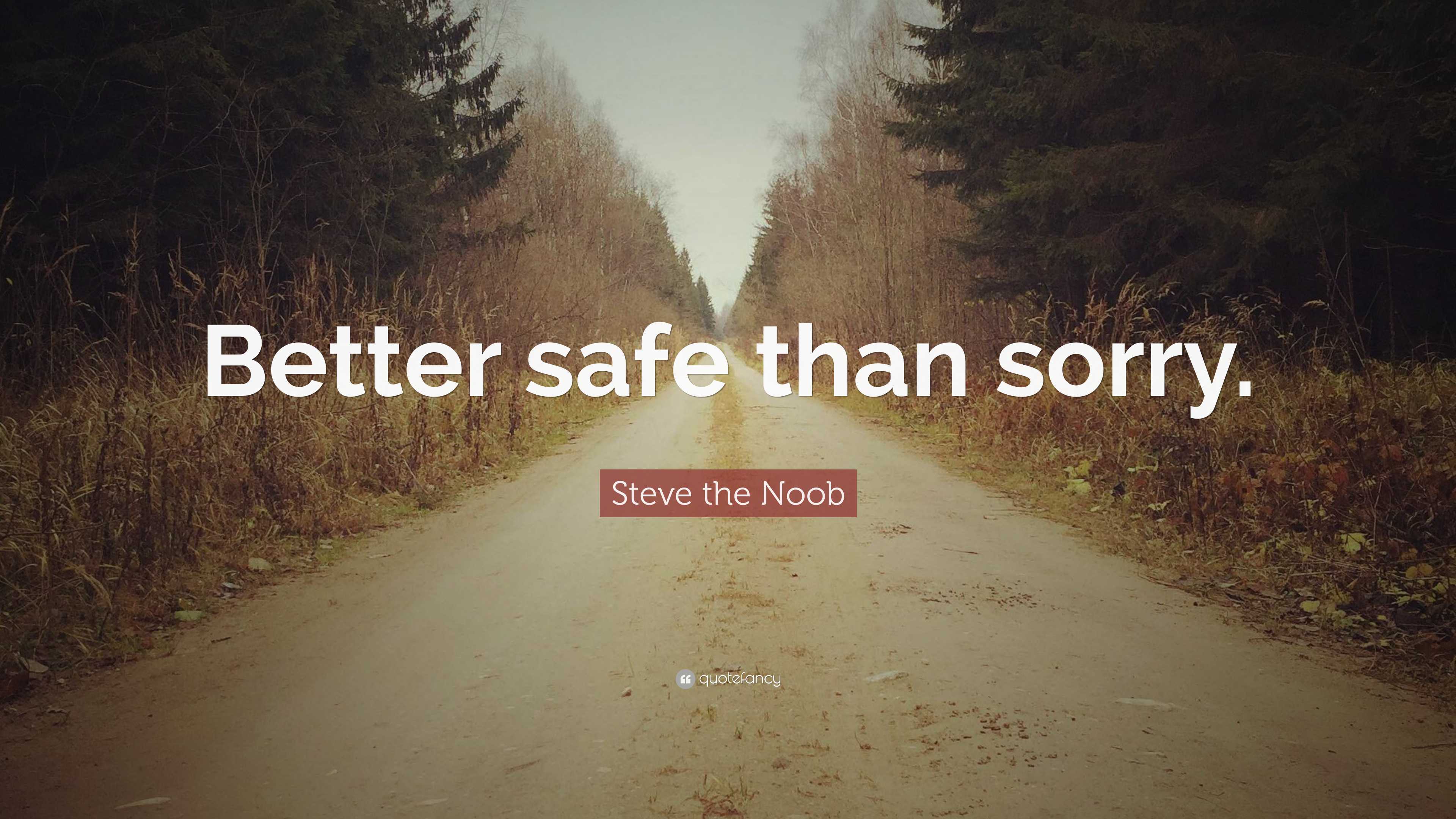 Steve the Noob Quote: “Better safe than sorry.”