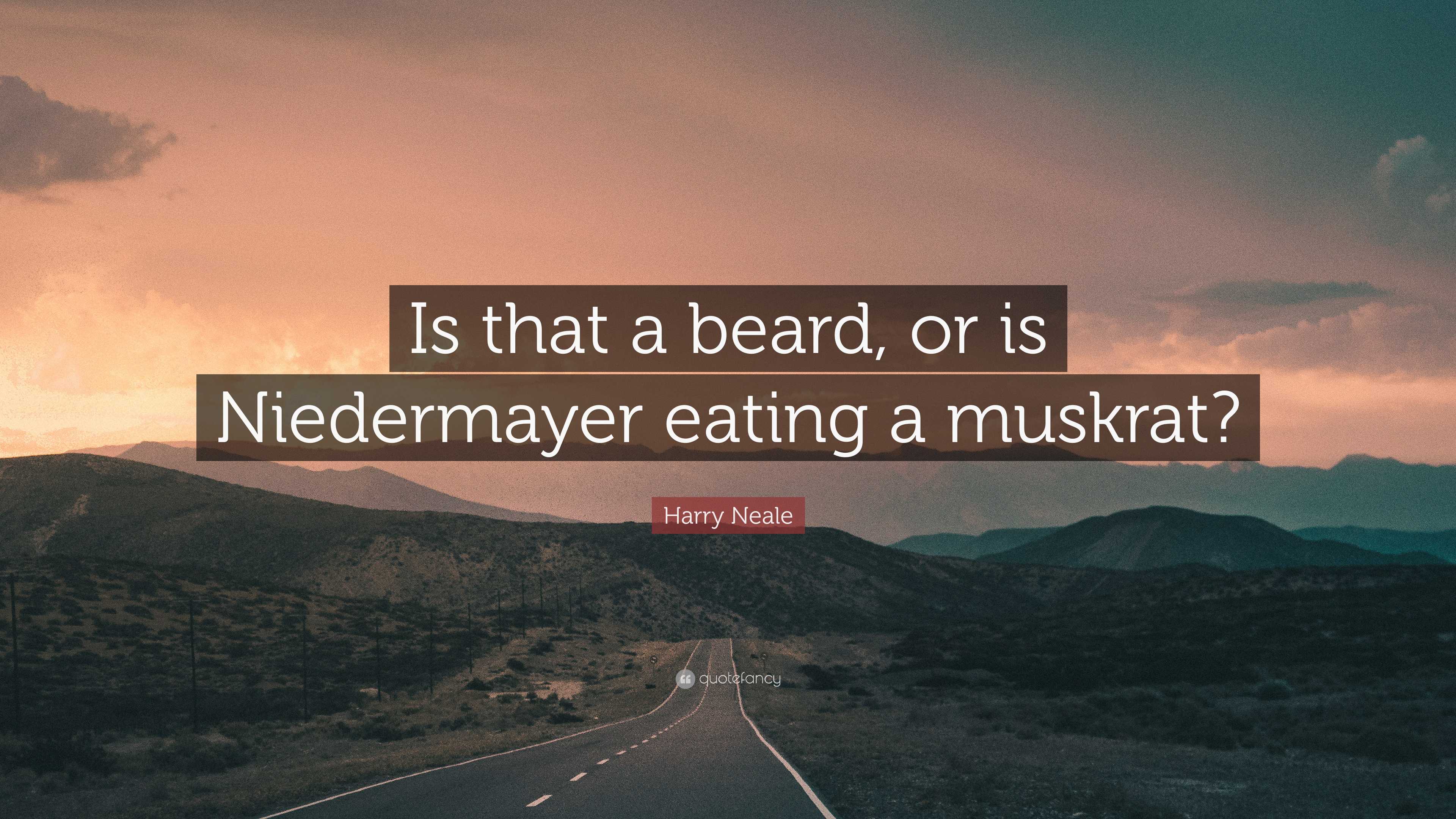 Harry Neale Quote: “Is that a beard, or is Niedermayer eating a muskrat?”