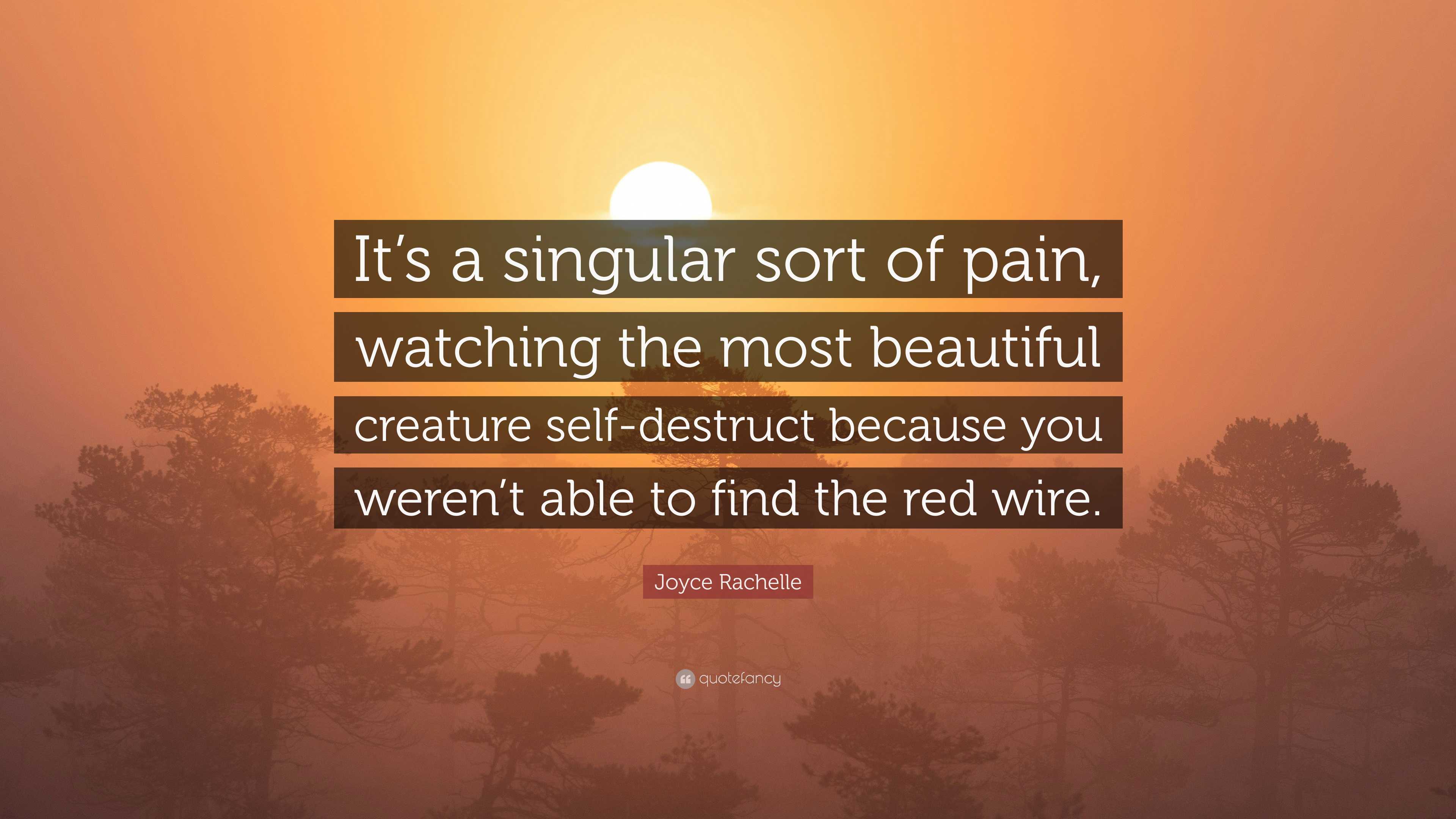 Joyce Rachelle Quote: “It’s a singular sort of pain, watching the most ...