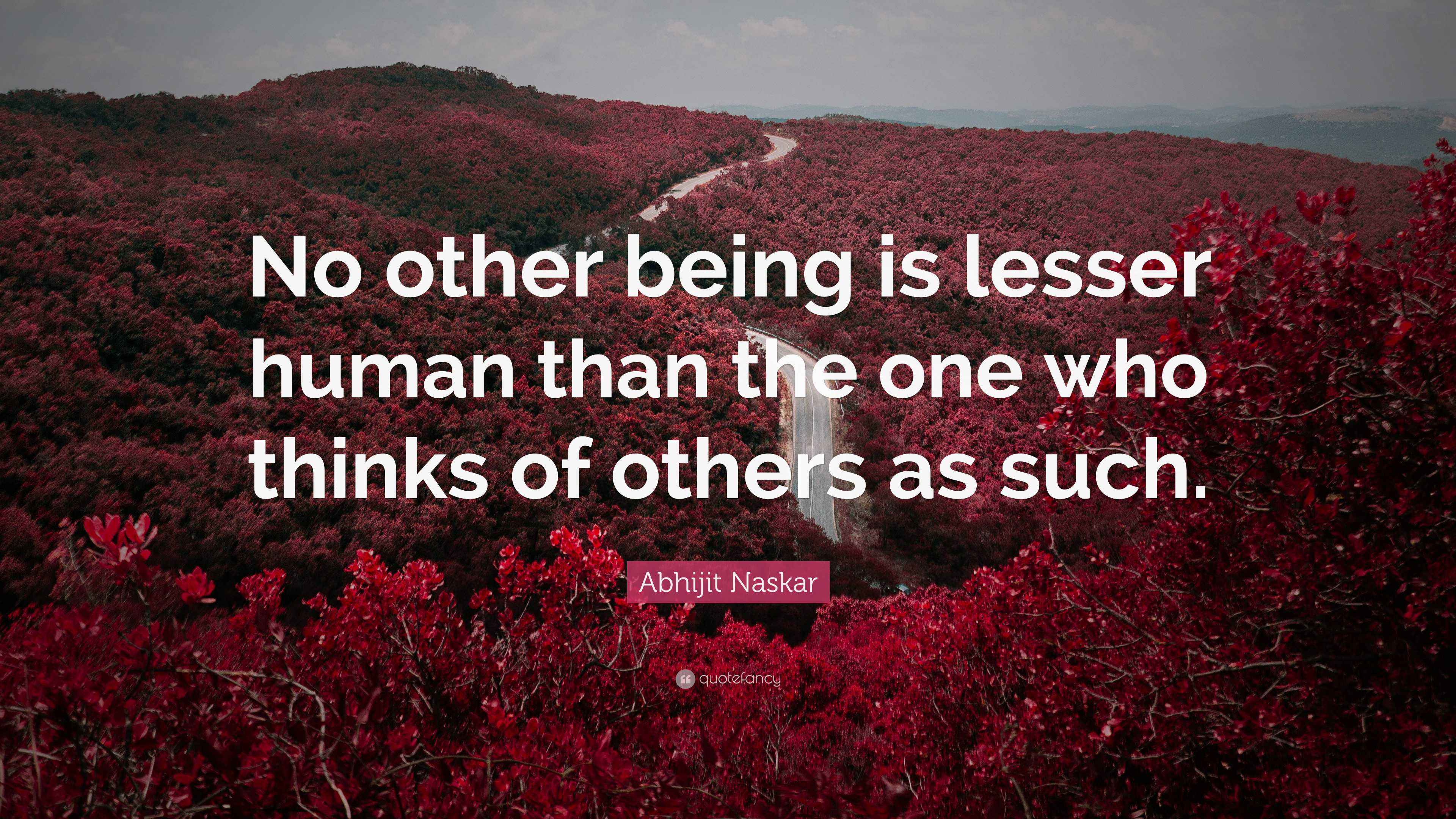 Abhijit Naskar Quote: “No other being is lesser human than the one who ...