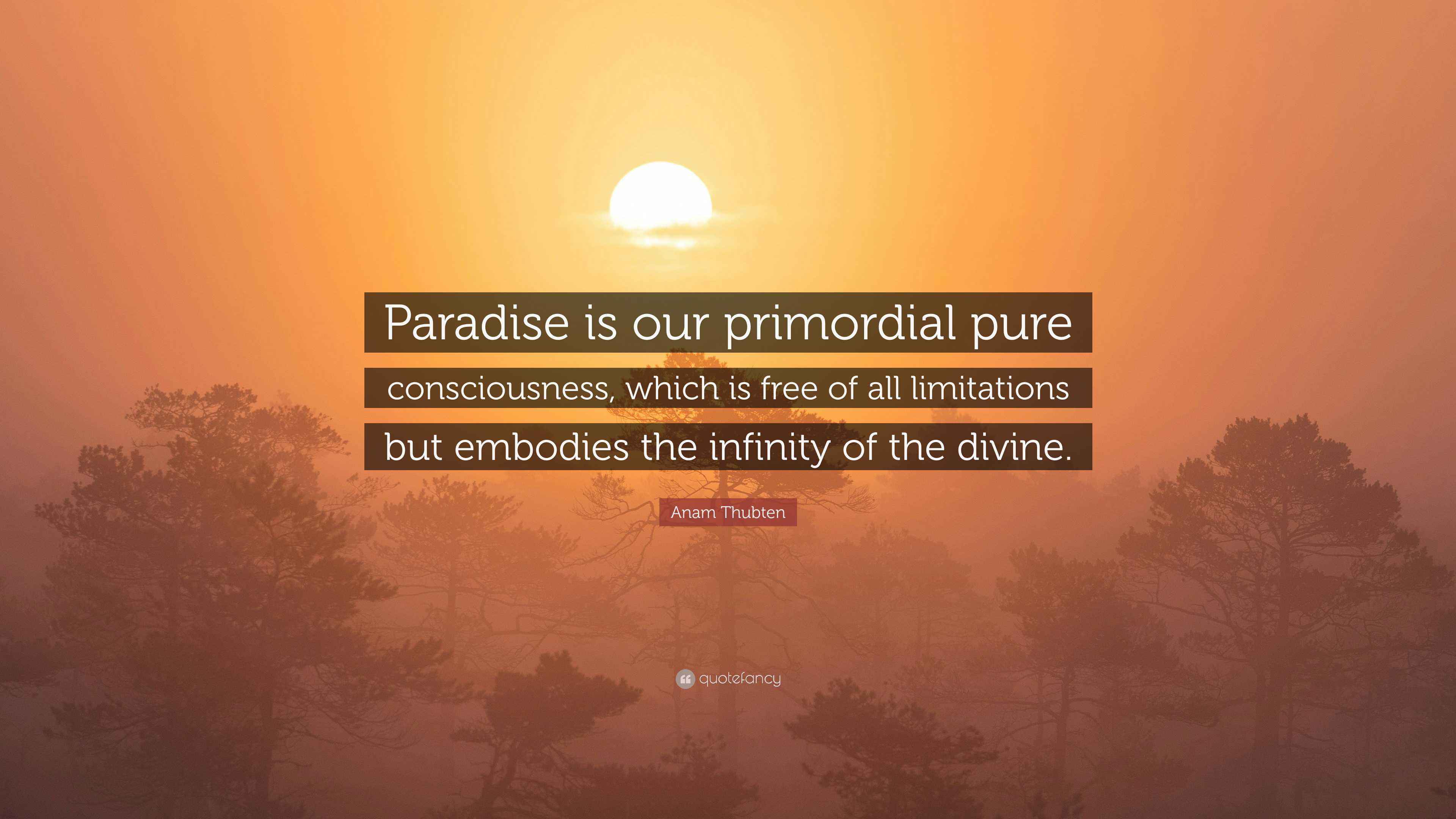 Anam Thubten Quote: “Paradise is our primordial pure consciousness ...