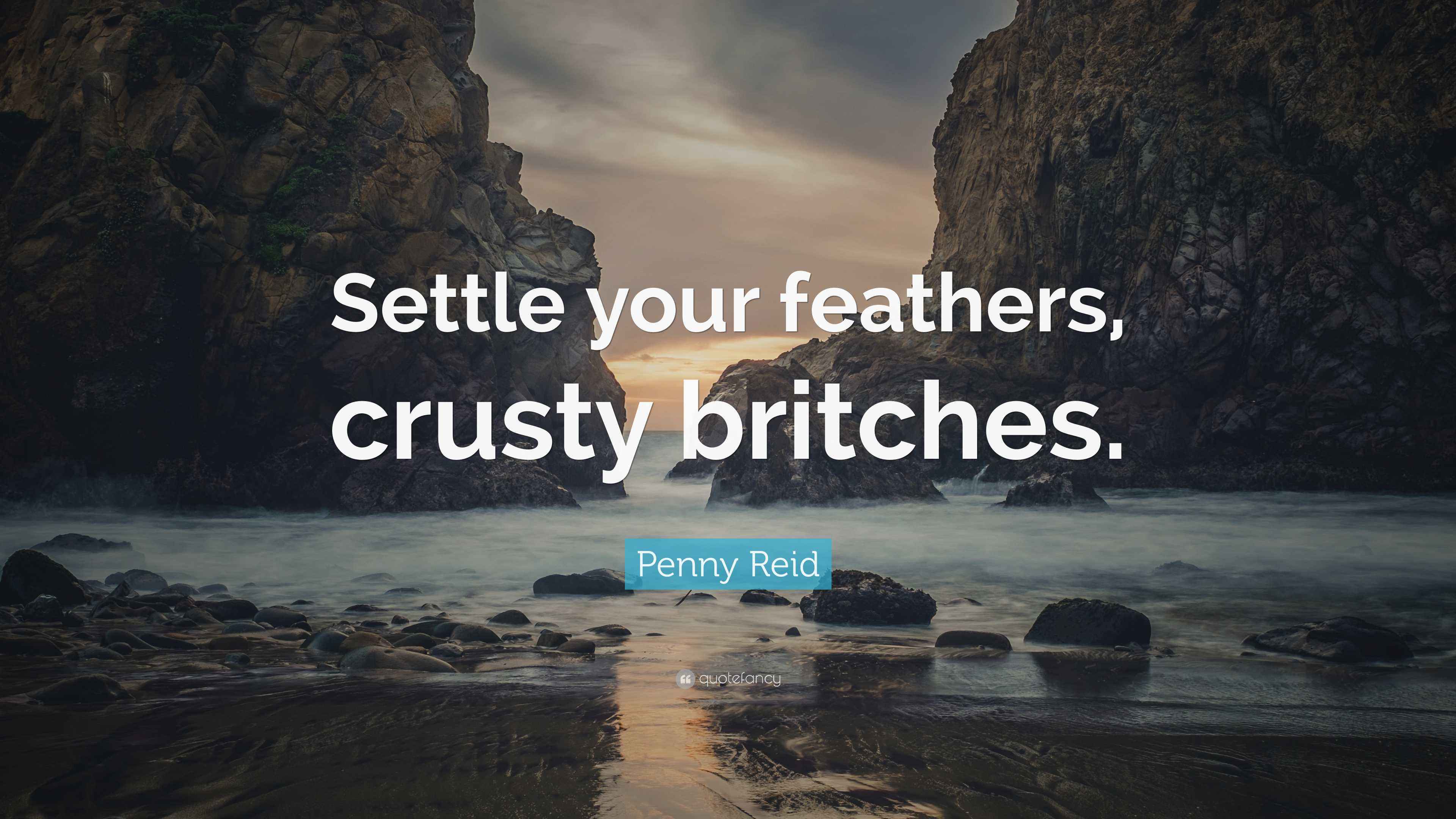 Penny Reid Quote: “Settle your feathers, crusty britches.”