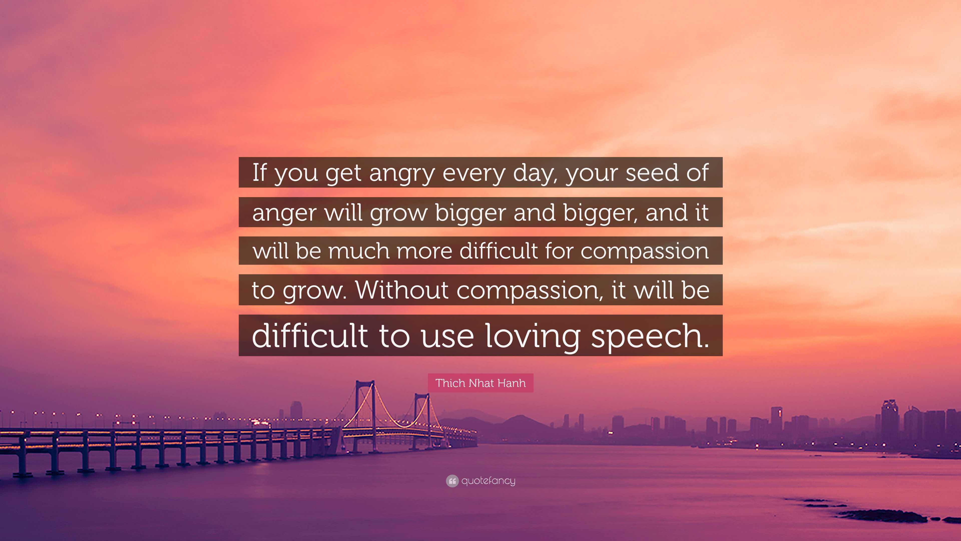 Thich Nhat Hanh Quote: “If you get angry every day, your seed of anger ...