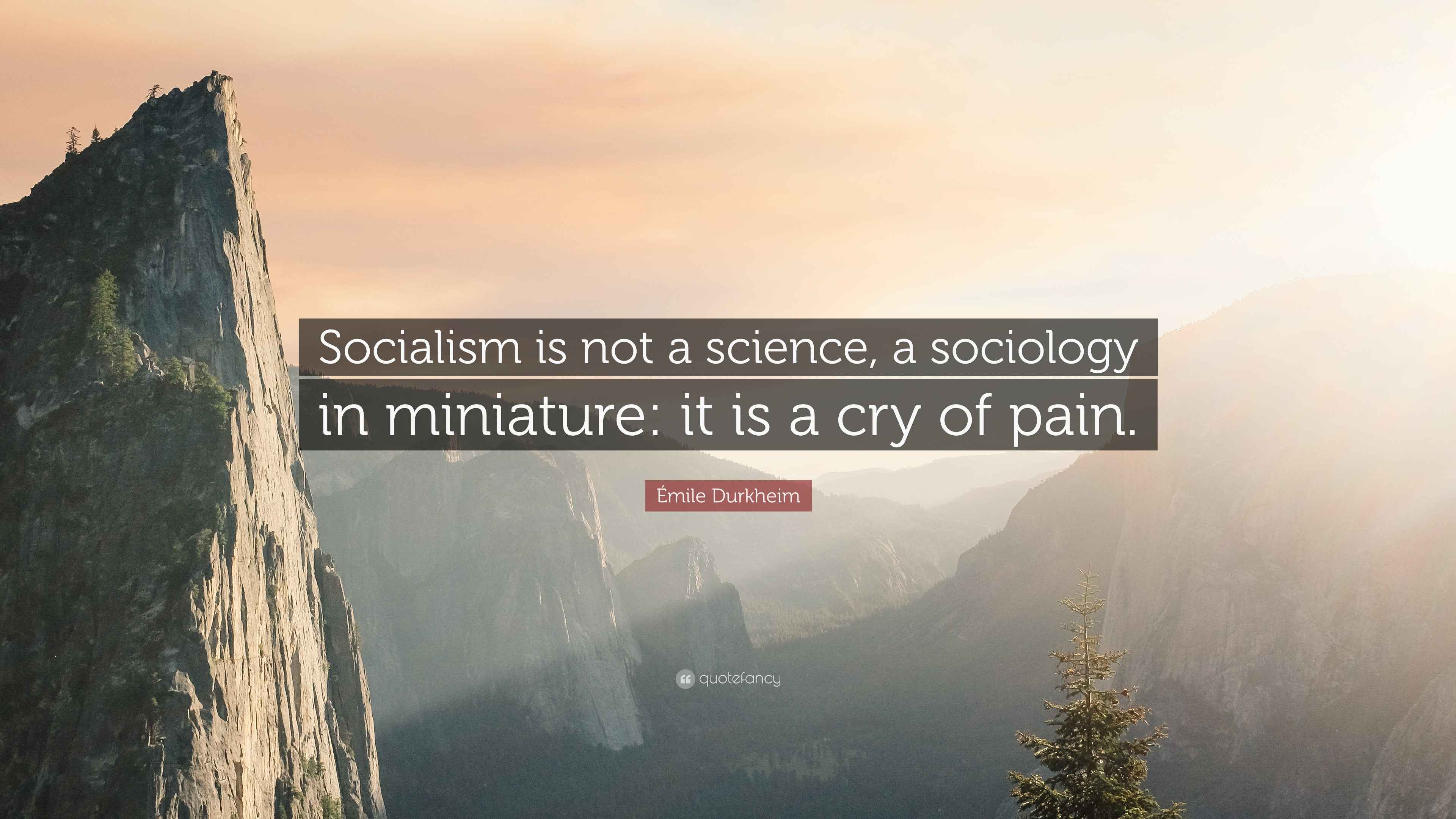 Émile Durkheim Quote: “Socialism is not a science, a sociology in ...