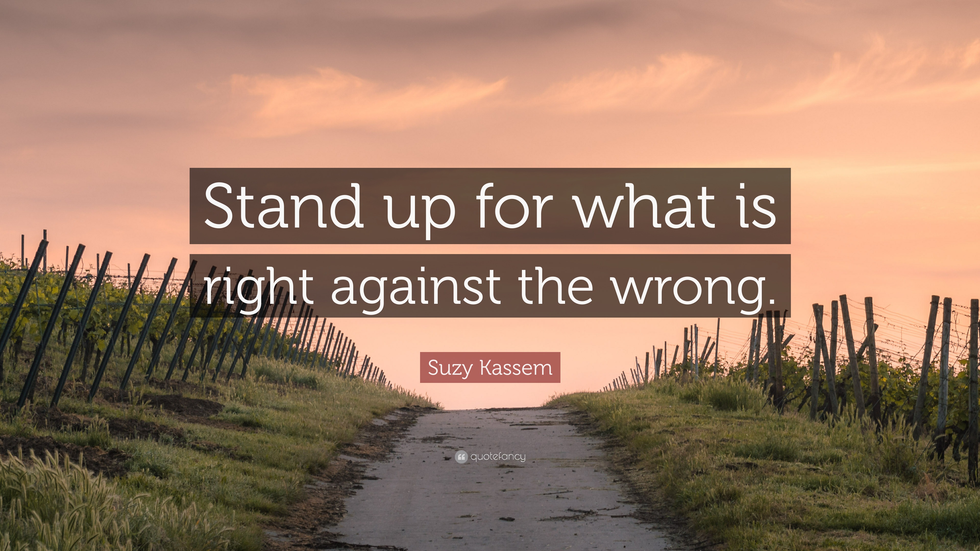 Suzy Kassem Quote: “Stand up for what is right against the wrong.”