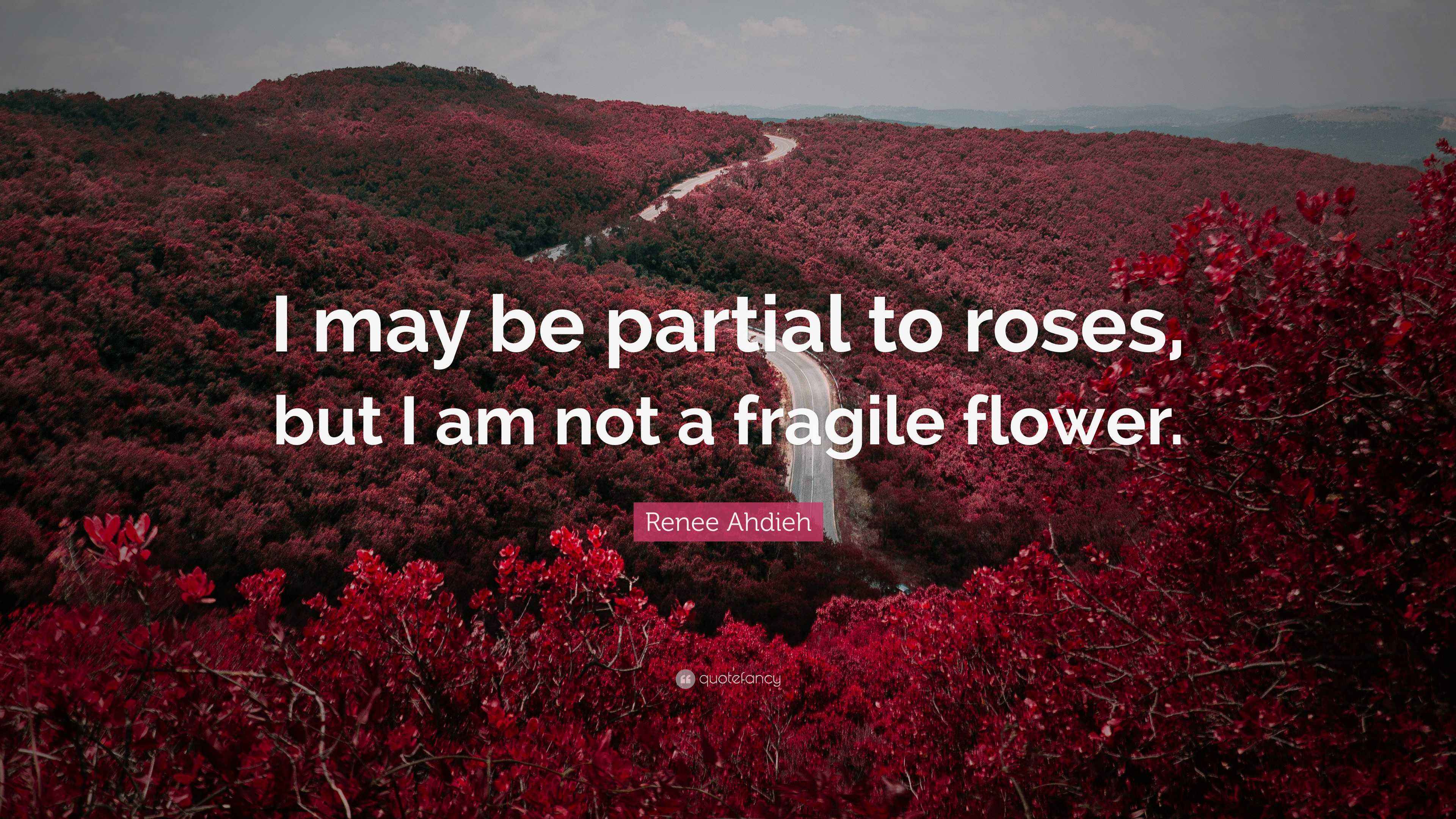 Renee Ahdieh Quote: “I may be partial to roses, but I am not a fragile ...