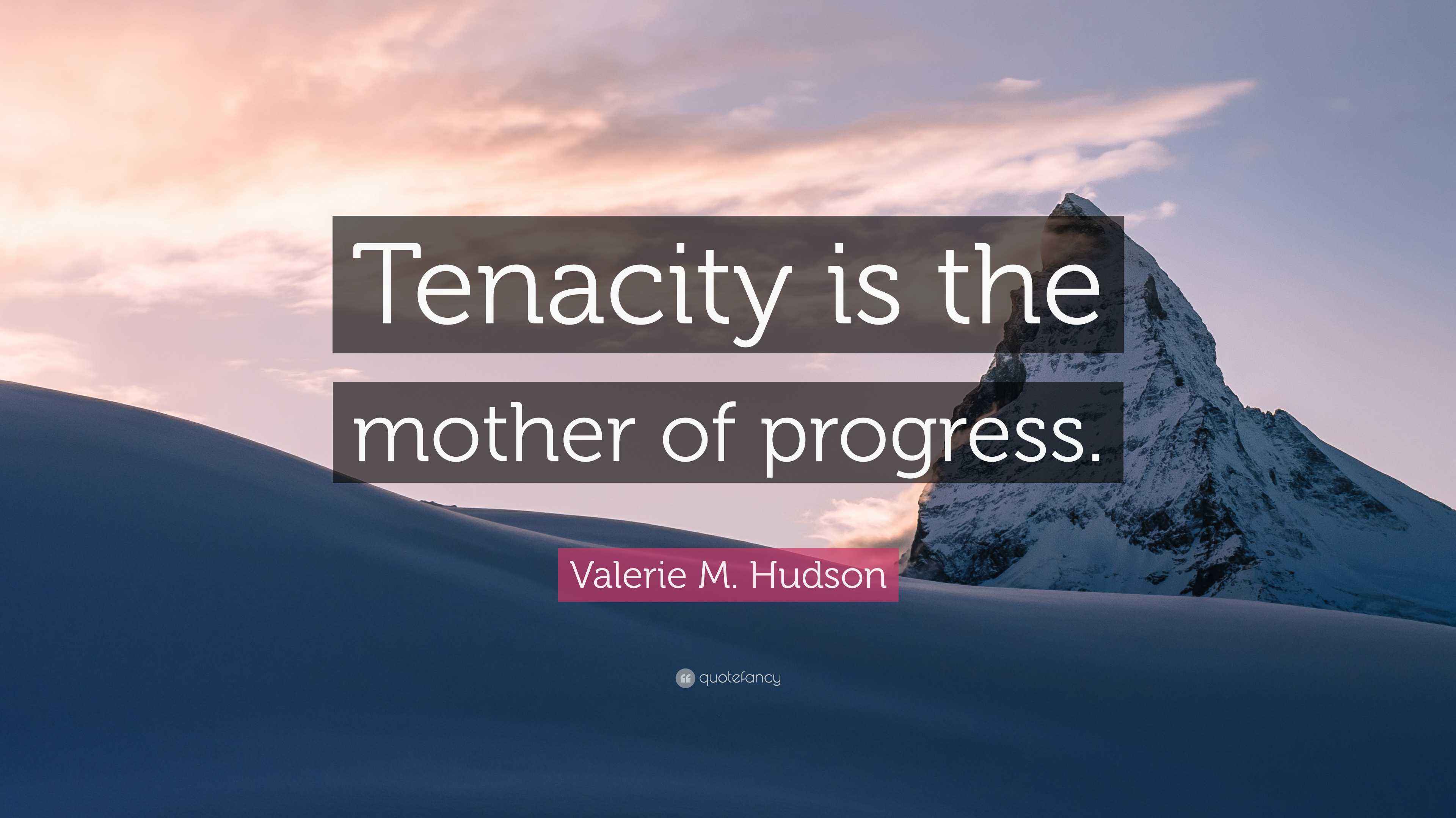 Valerie M. Hudson Quote: “Tenacity is the mother of progress.”