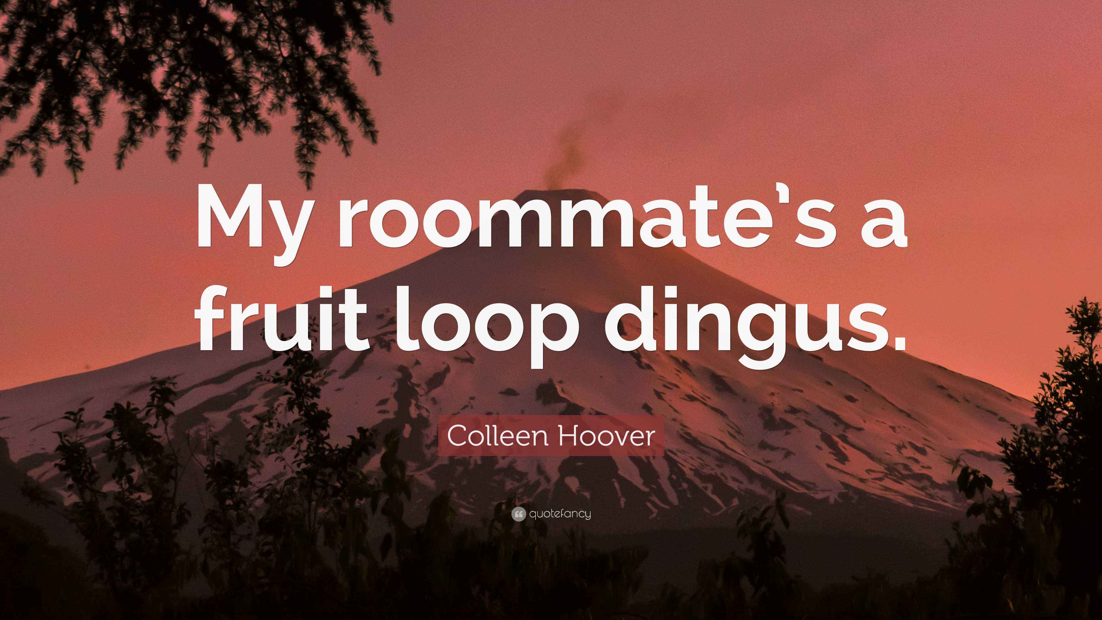 Colleen Hoover Quote: “My roommate’s a fruit loop dingus.”