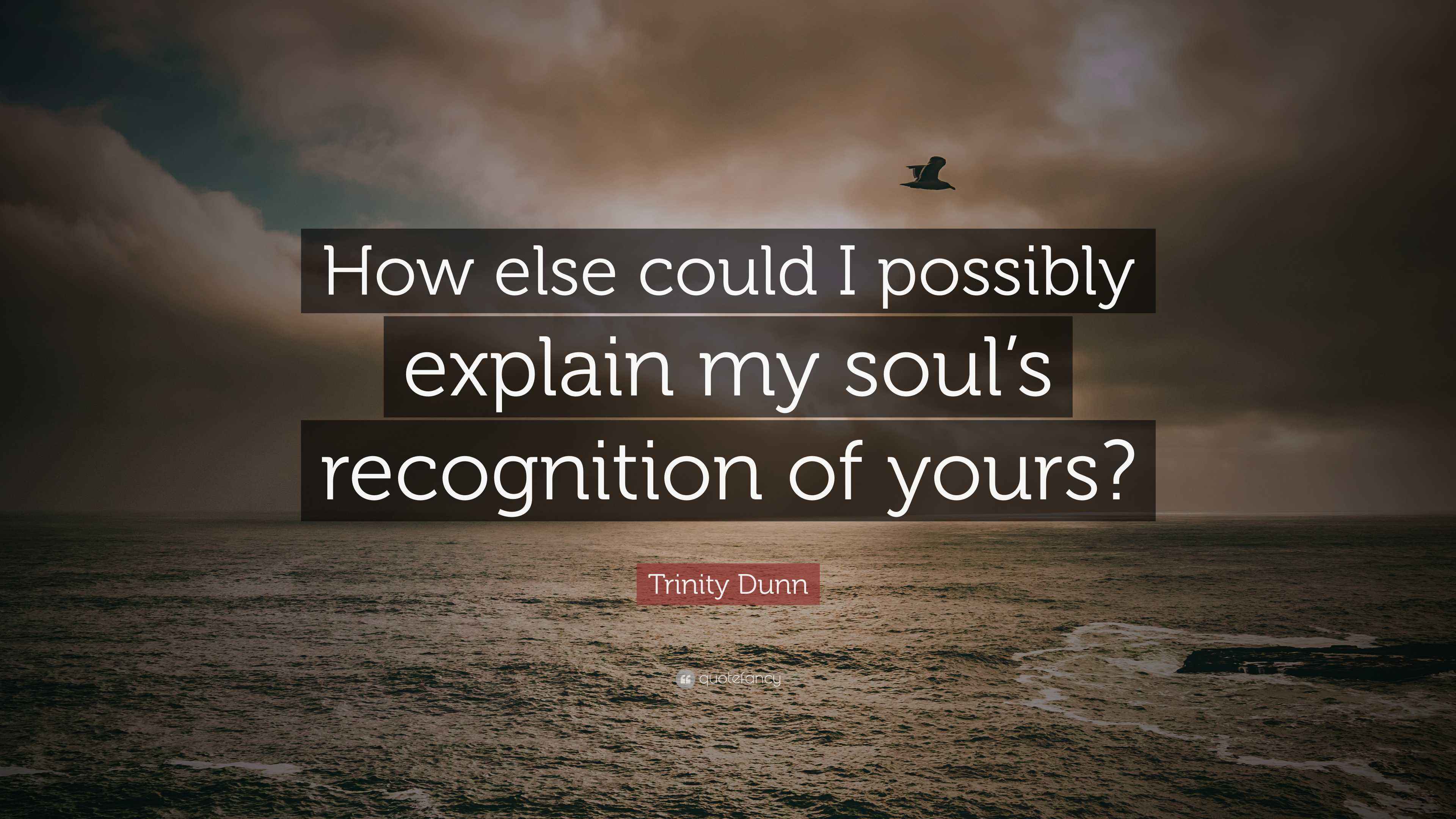 Trinity Dunn Quote: “How else could I possibly explain my soul’s ...
