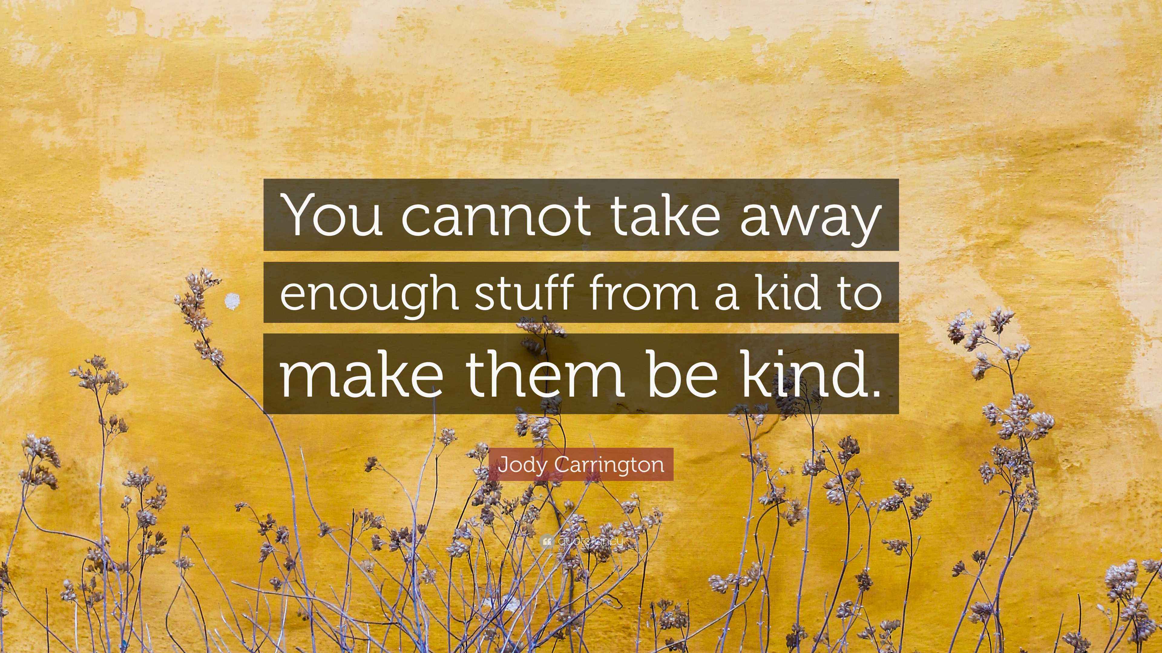 Jody Carrington Quote: “You cannot take away enough stuff from a kid to ...