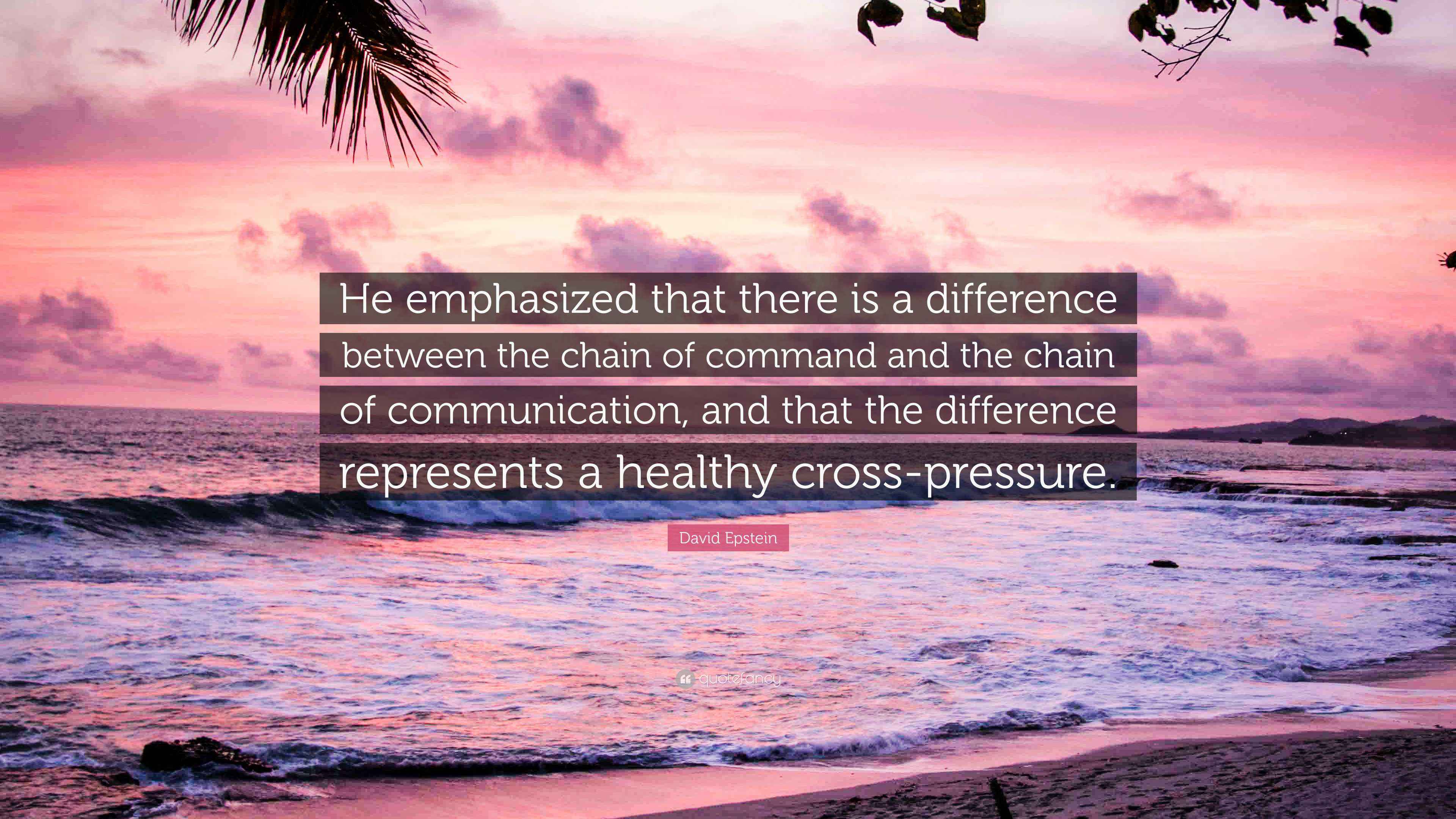 David Epstein Quote: “He emphasized that there is a difference between ...