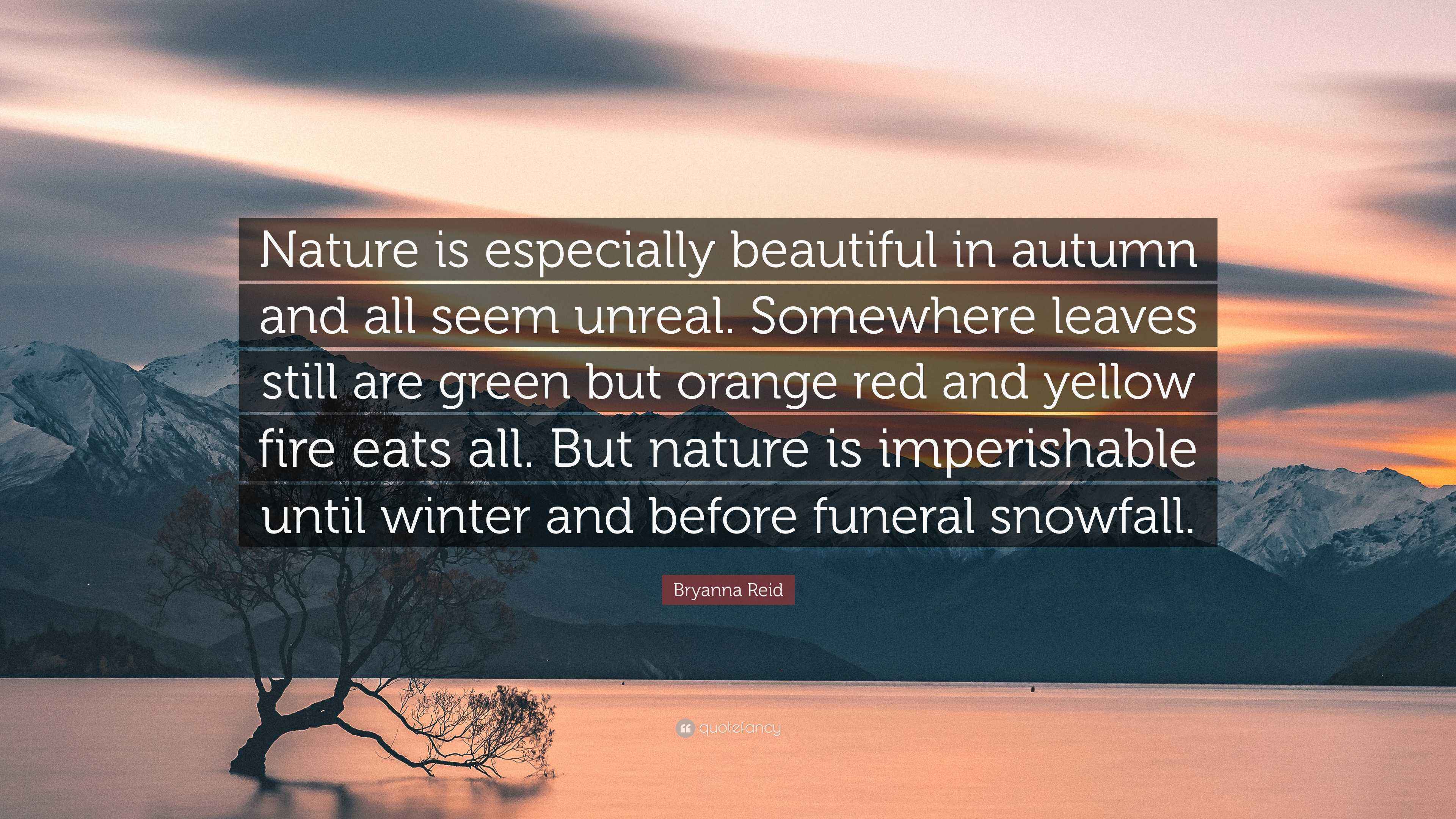 Bryanna Reid Quote: “Nature is especially beautiful in autumn and all ...