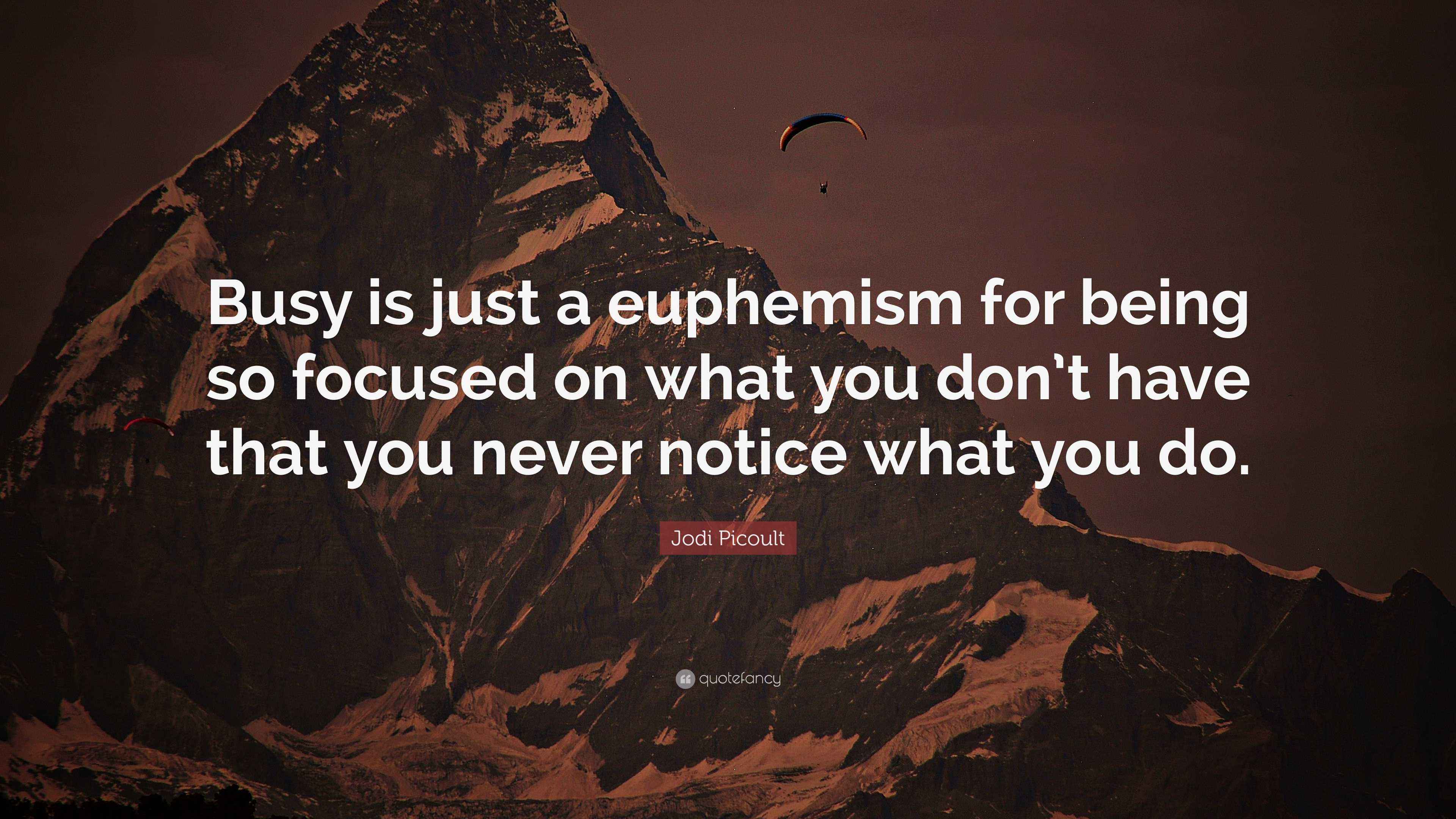 Jodi Picoult Quote: “Busy is just a euphemism for being so focused on ...