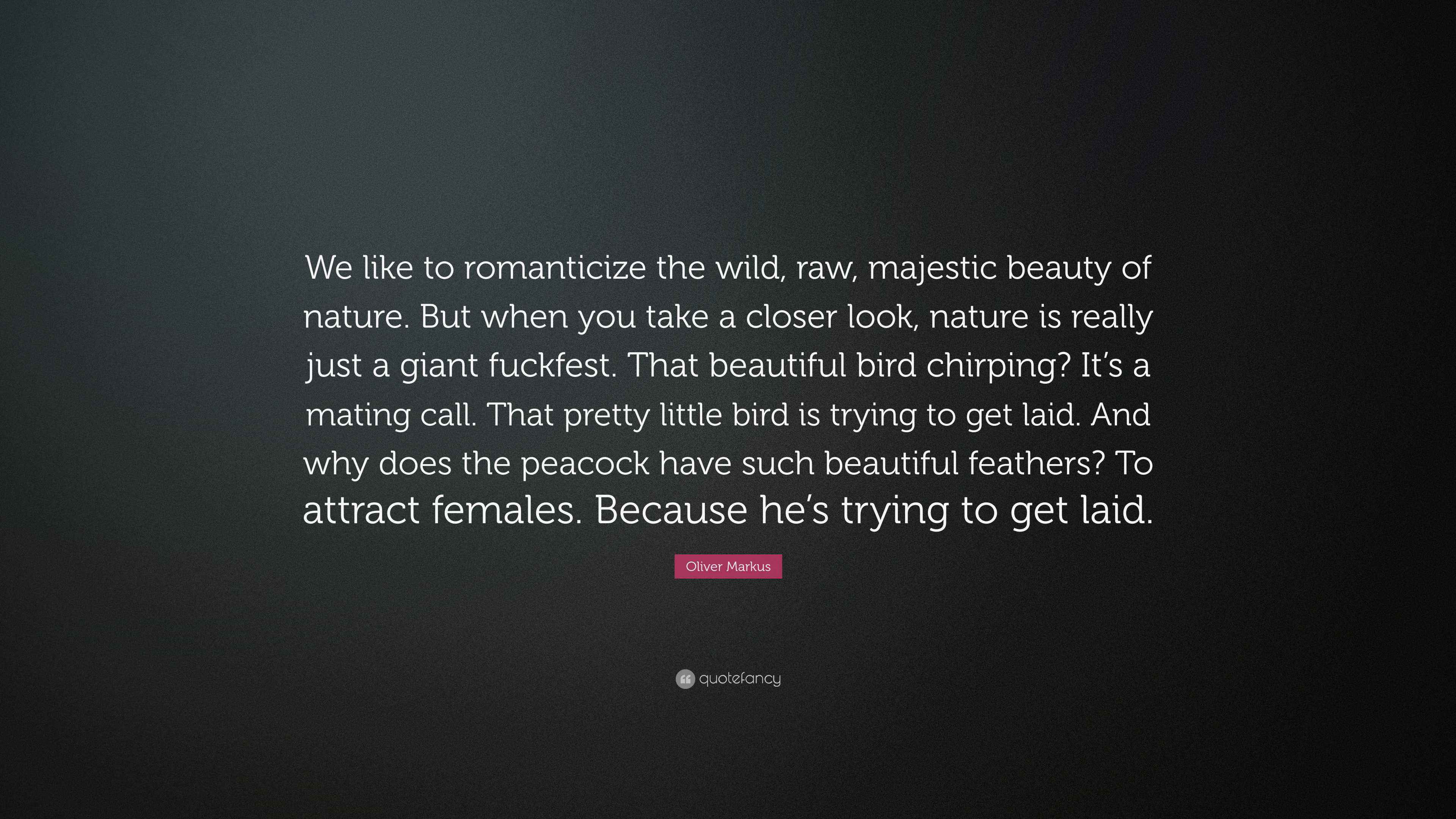 Oliver Markus Quote: “We like to romanticize the wild, raw, majestic ...