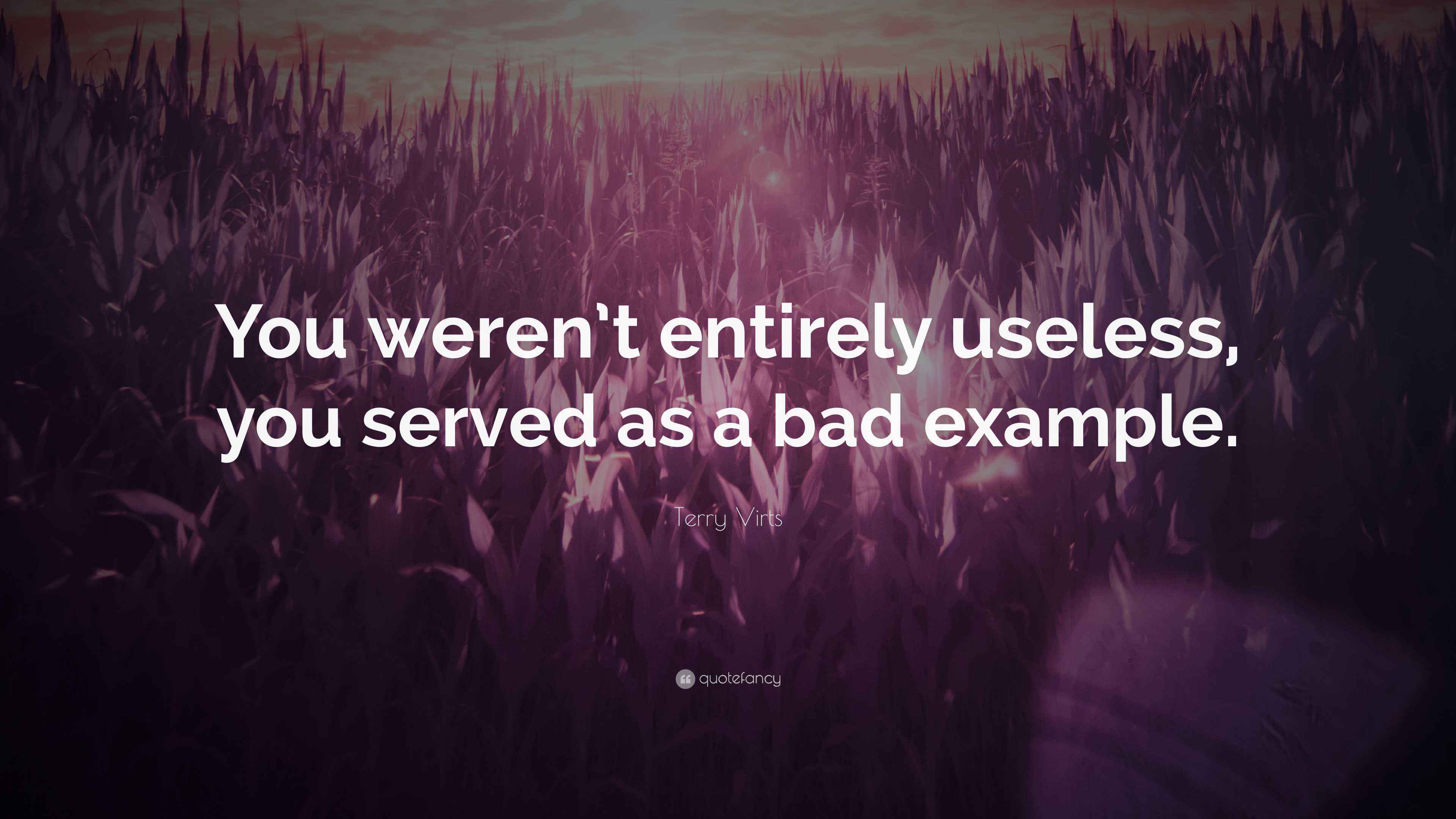 Terry Virts Quote: “You weren’t entirely useless, you served as a bad ...