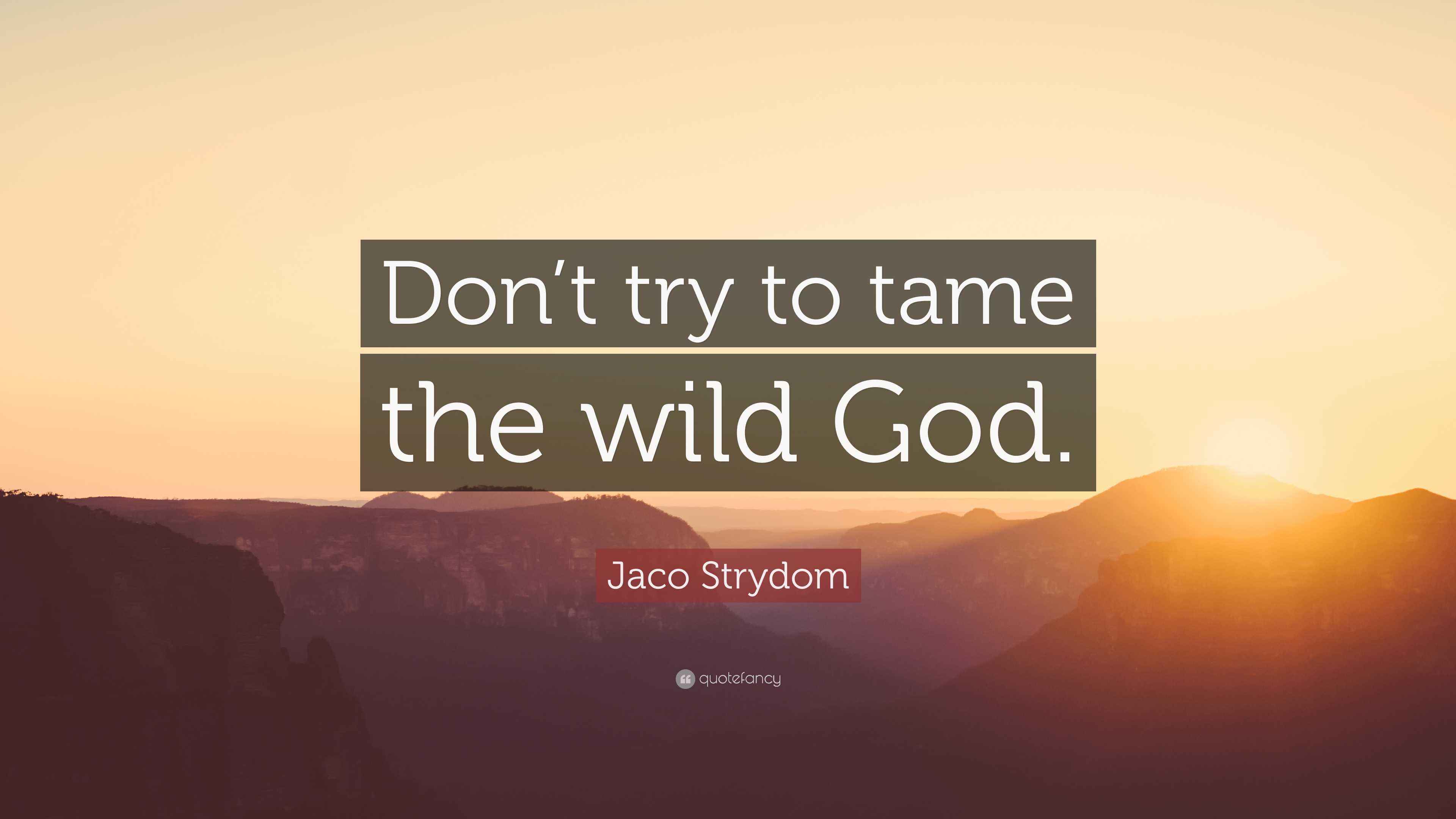 Jaco Strydom Quote: “Don’t try to tame the wild God.”