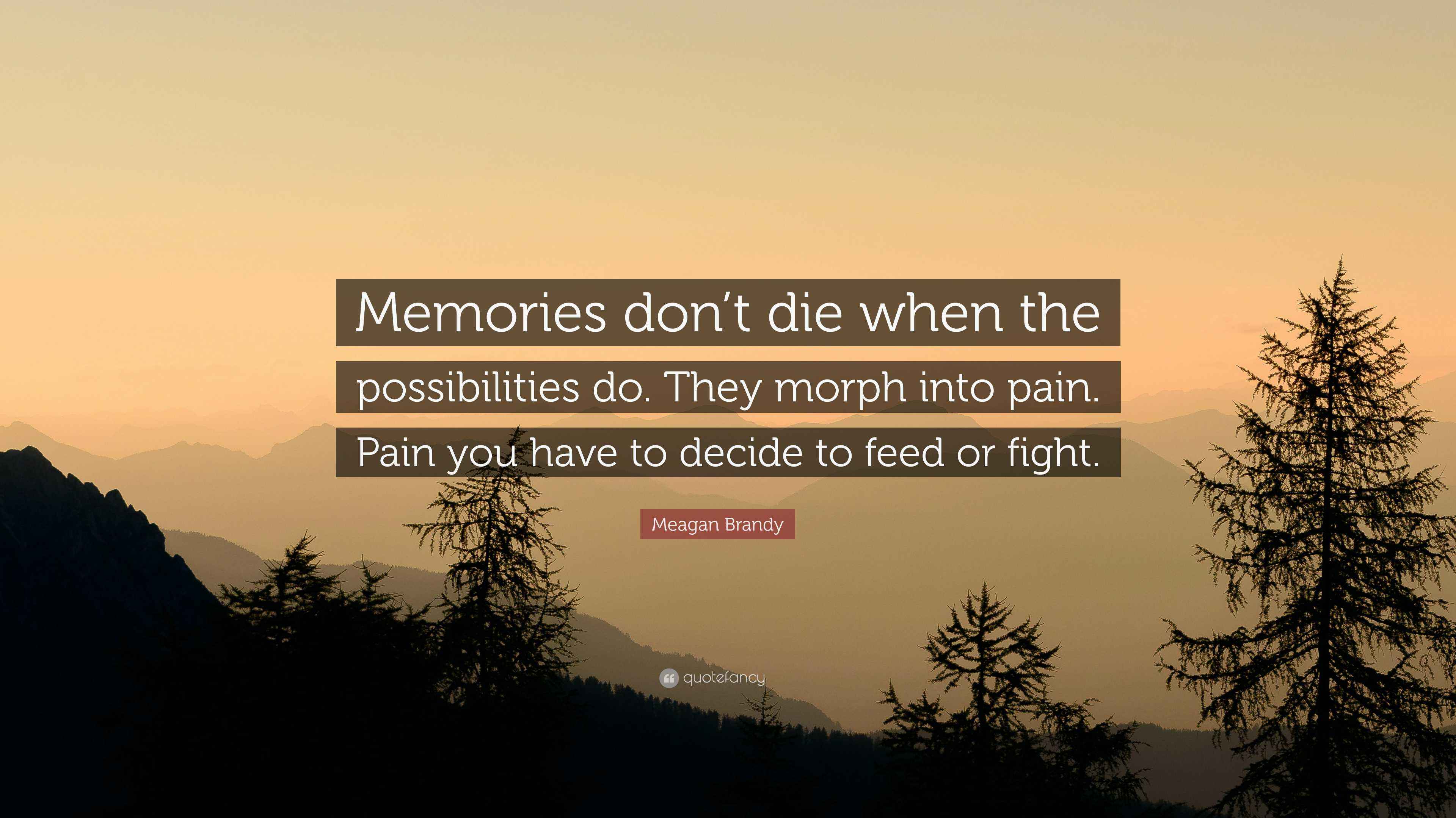 Meagan Brandy Quote: “Memories don’t die when the possibilities do ...