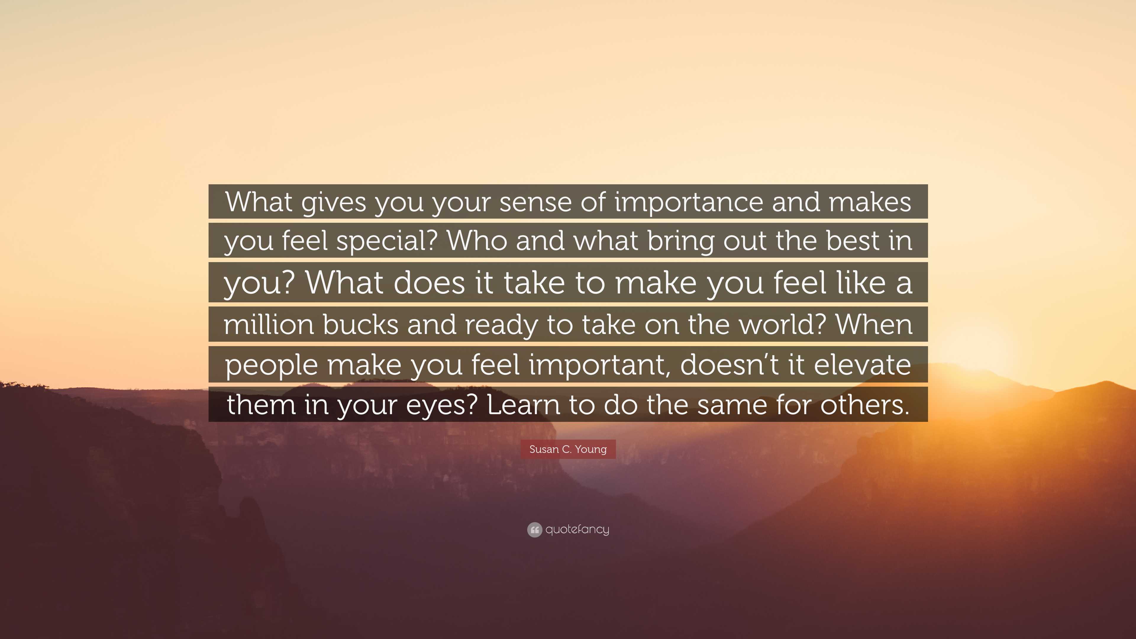 Susan C. Young Quote: “What gives you your sense of importance and ...