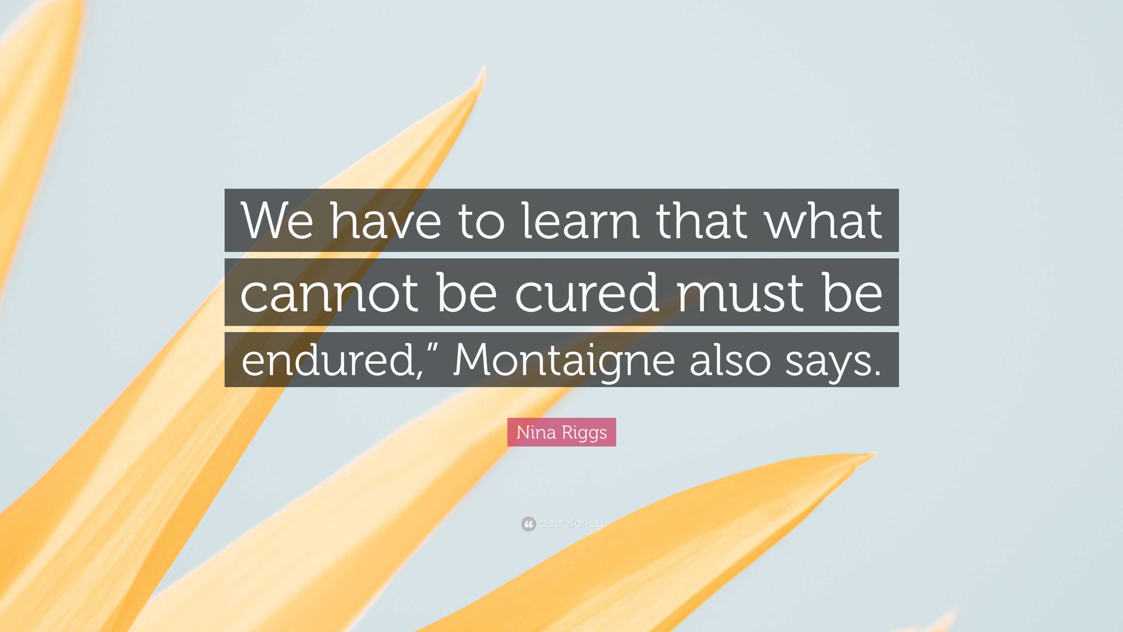 Nina Riggs Quote: “We have to learn that what cannot be cured must be ...