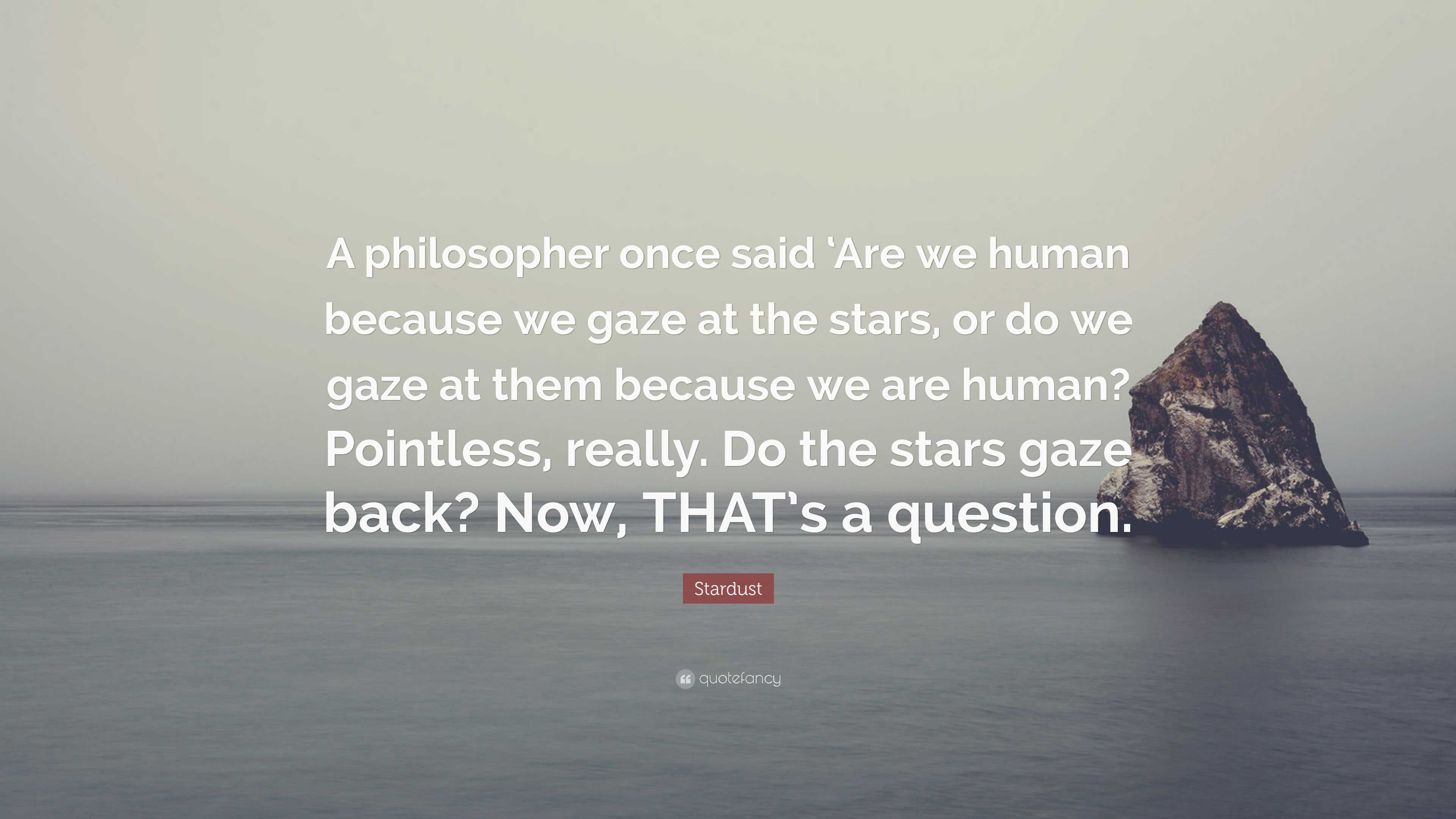 Stardust Quote: “A philosopher once said ‘Are we human because we gaze ...