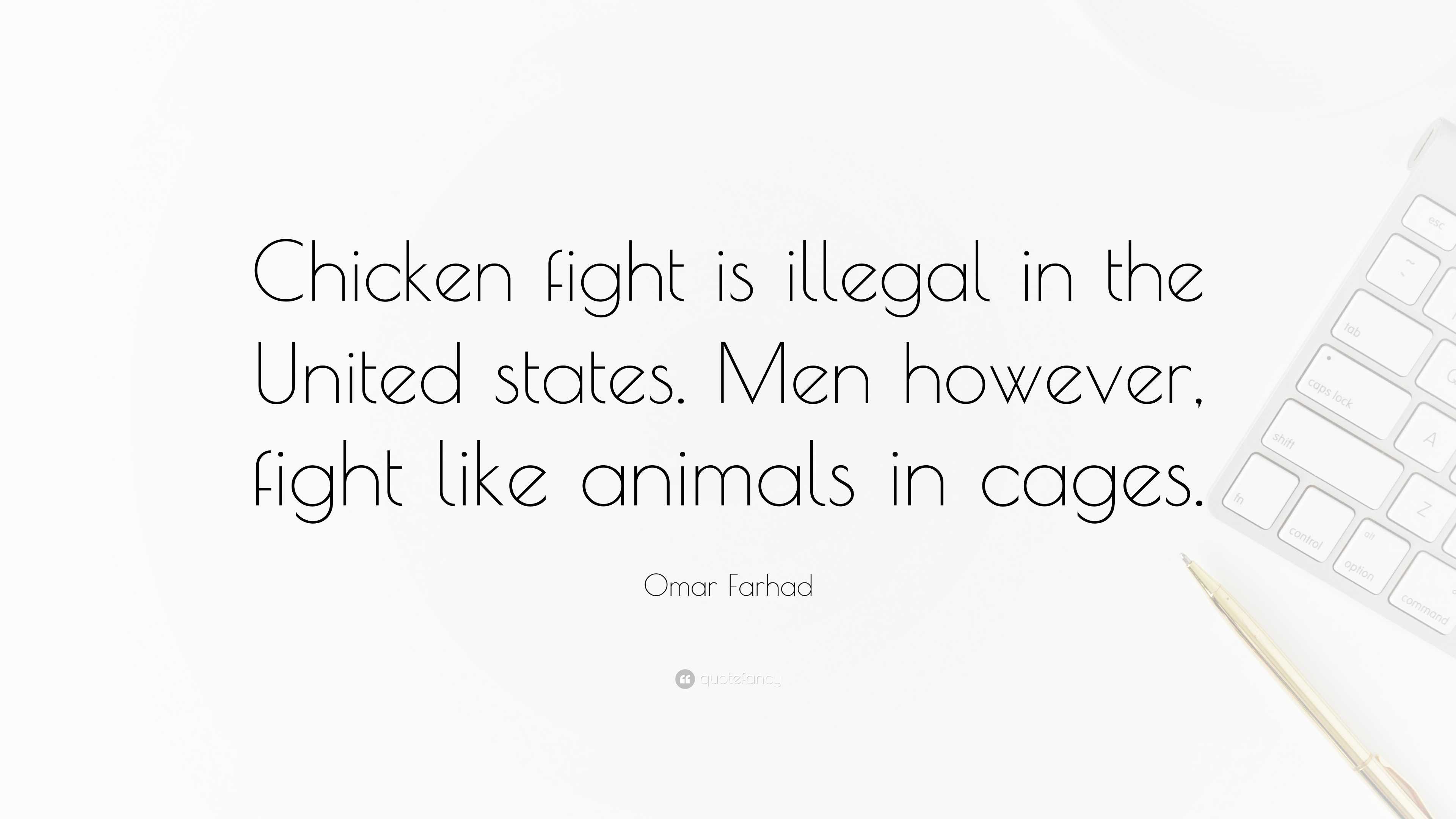 Omar Farhad Quote: “Chicken fight is illegal in the United states. Men ...