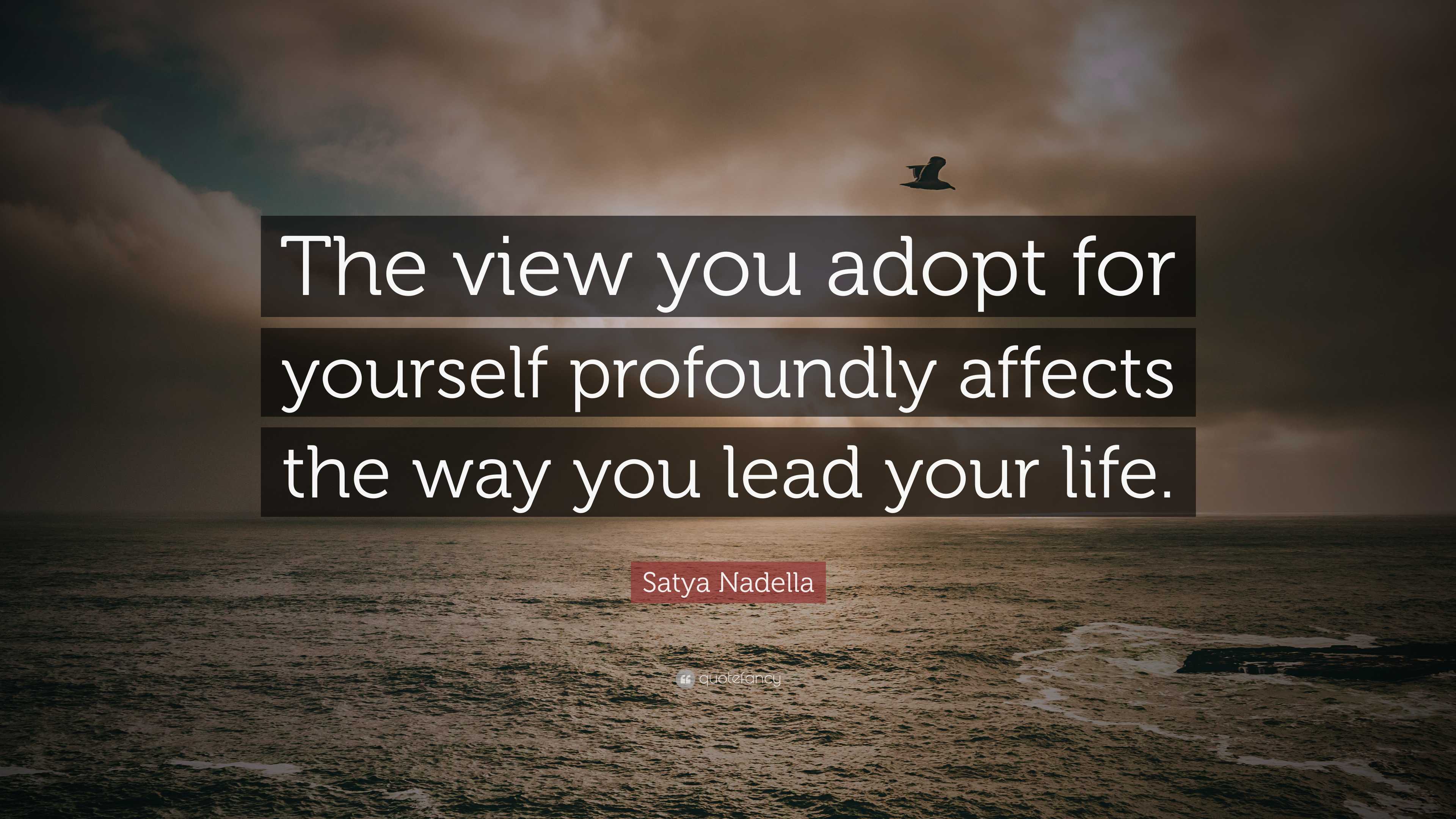 Satya Nadella Quote: “The view you adopt for yourself profoundly ...