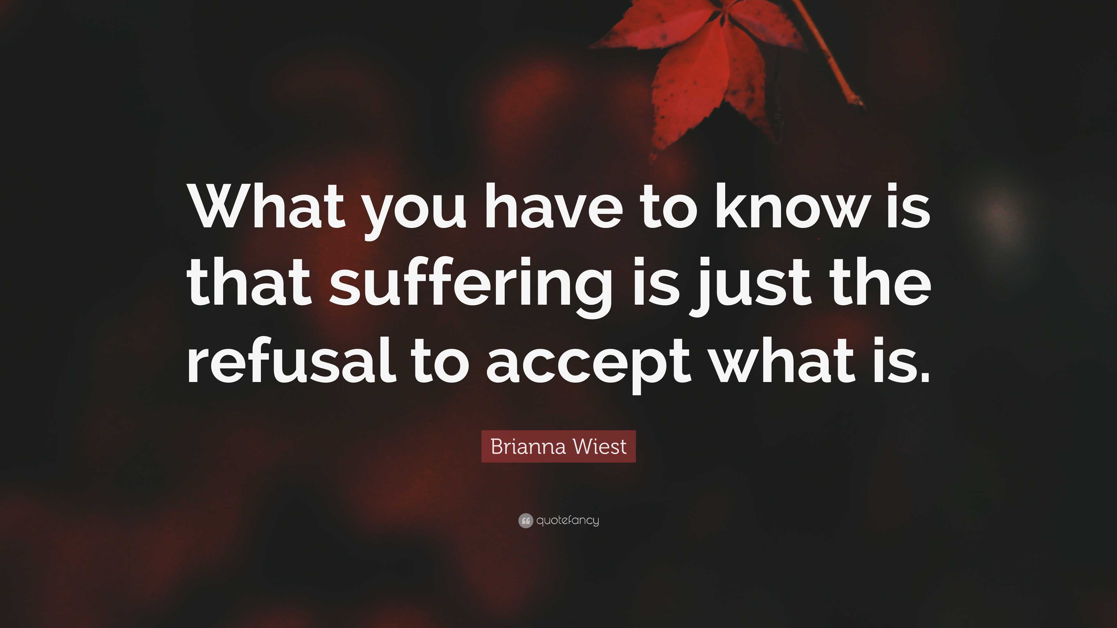Brianna Wiest Quote: “What you have to know is that suffering is just ...