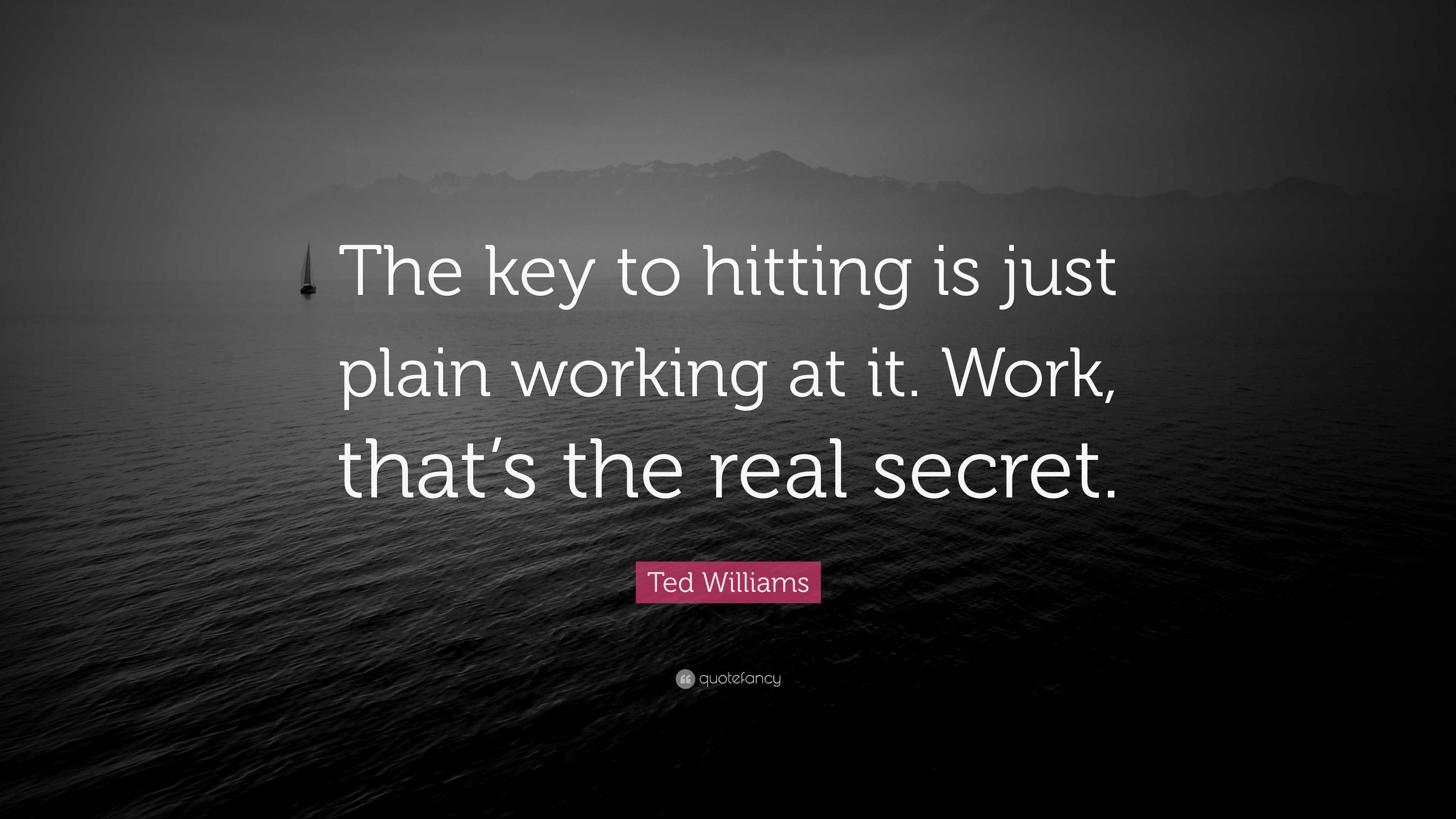 Ted Williams Quote: “The key to hitting is just plain working at it ...