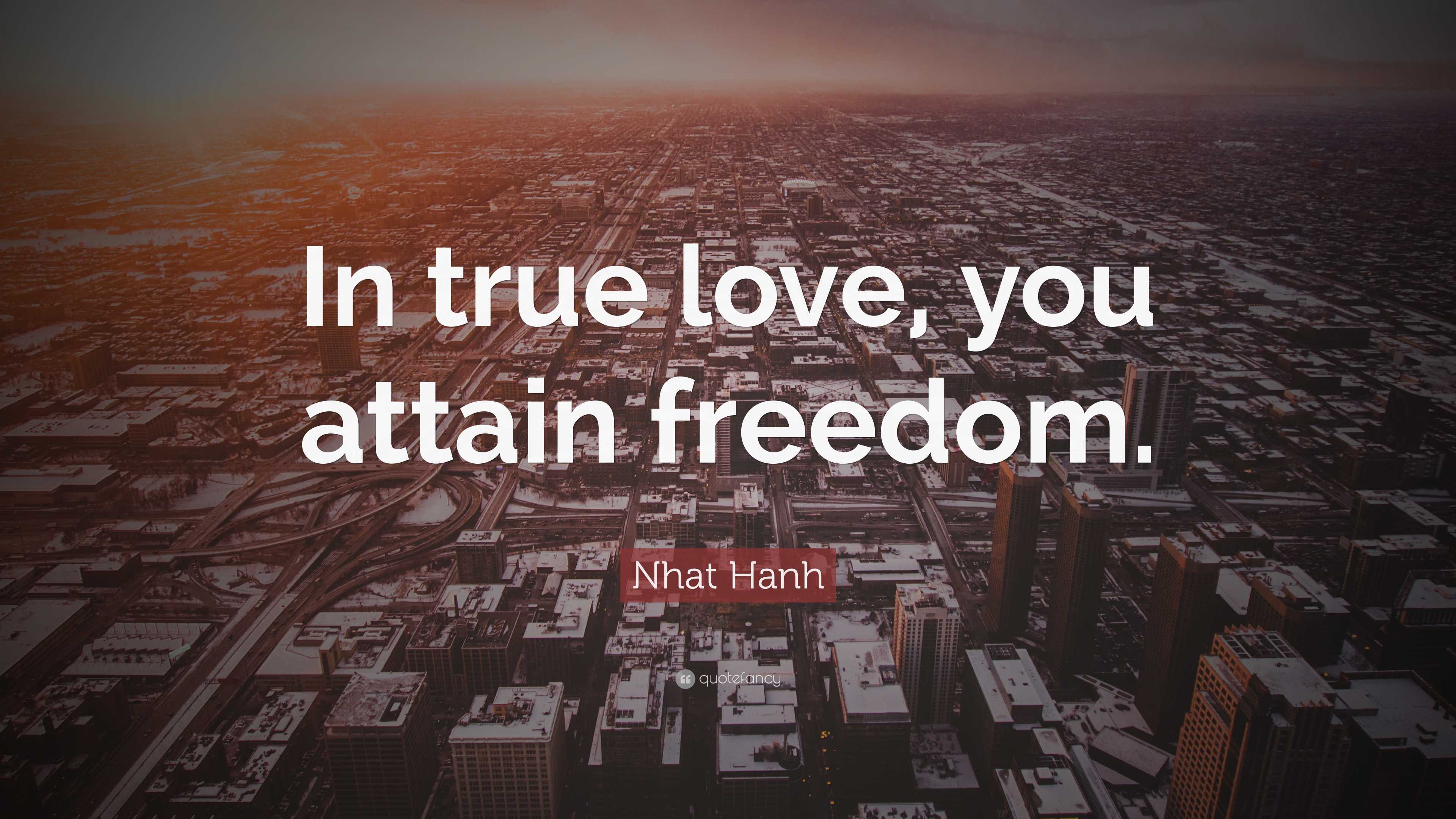 Nhat Hanh Quote: “In true love, you attain freedom.”