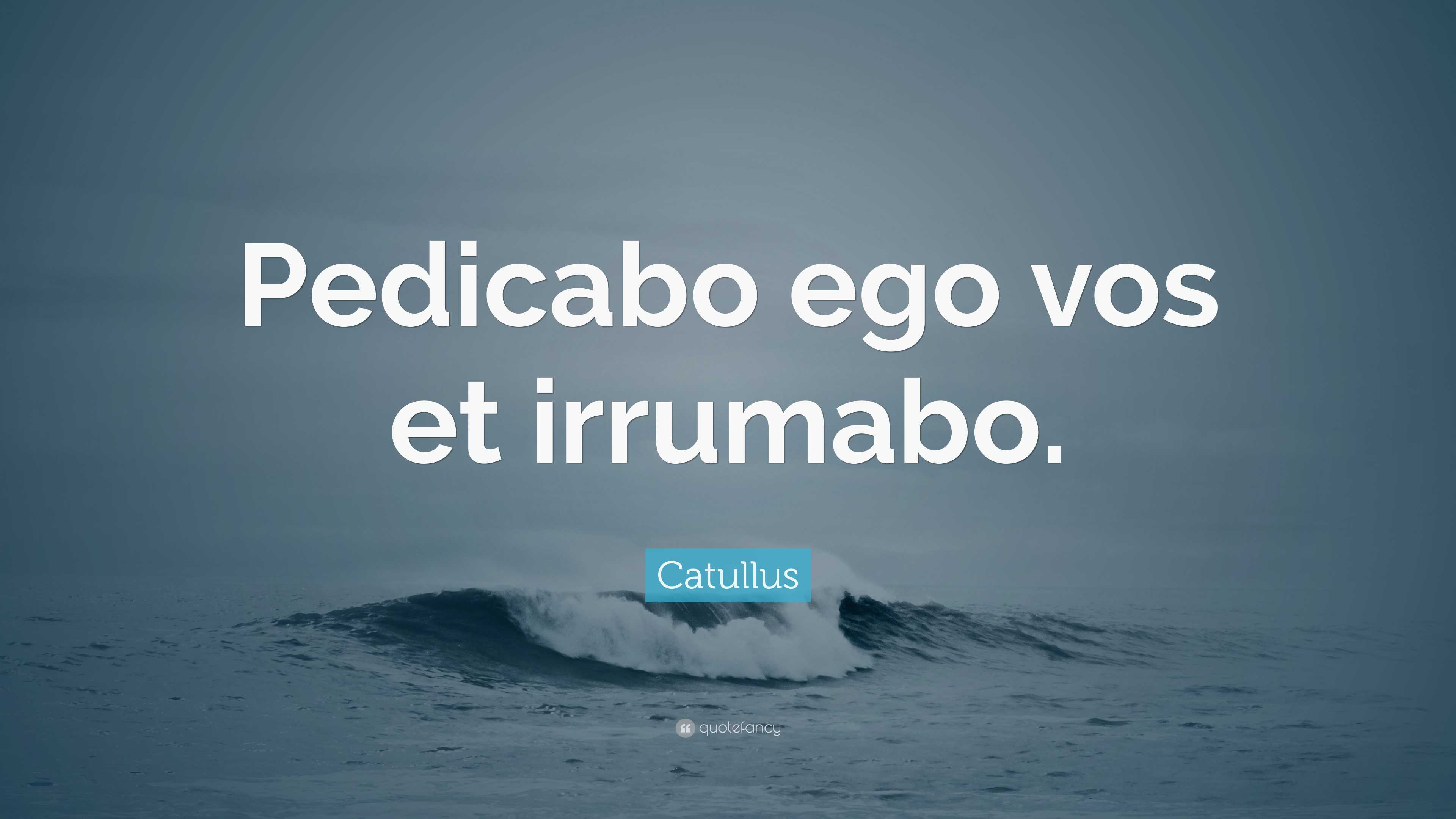 Catullus Quote: “Pedicabo ego vos et irrumabo.”