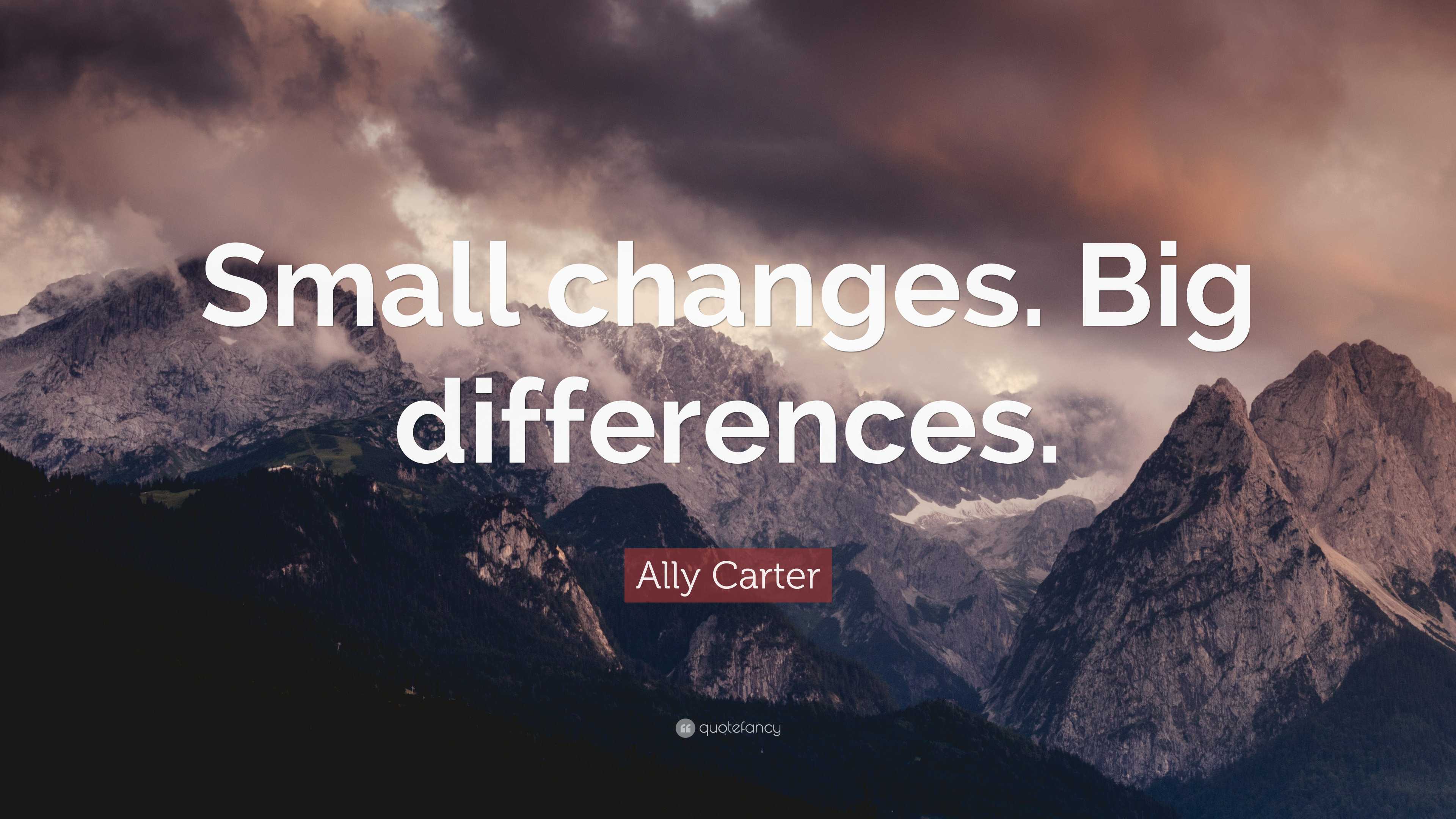 Ally Carter Quote: “Small changes. Big differences.”