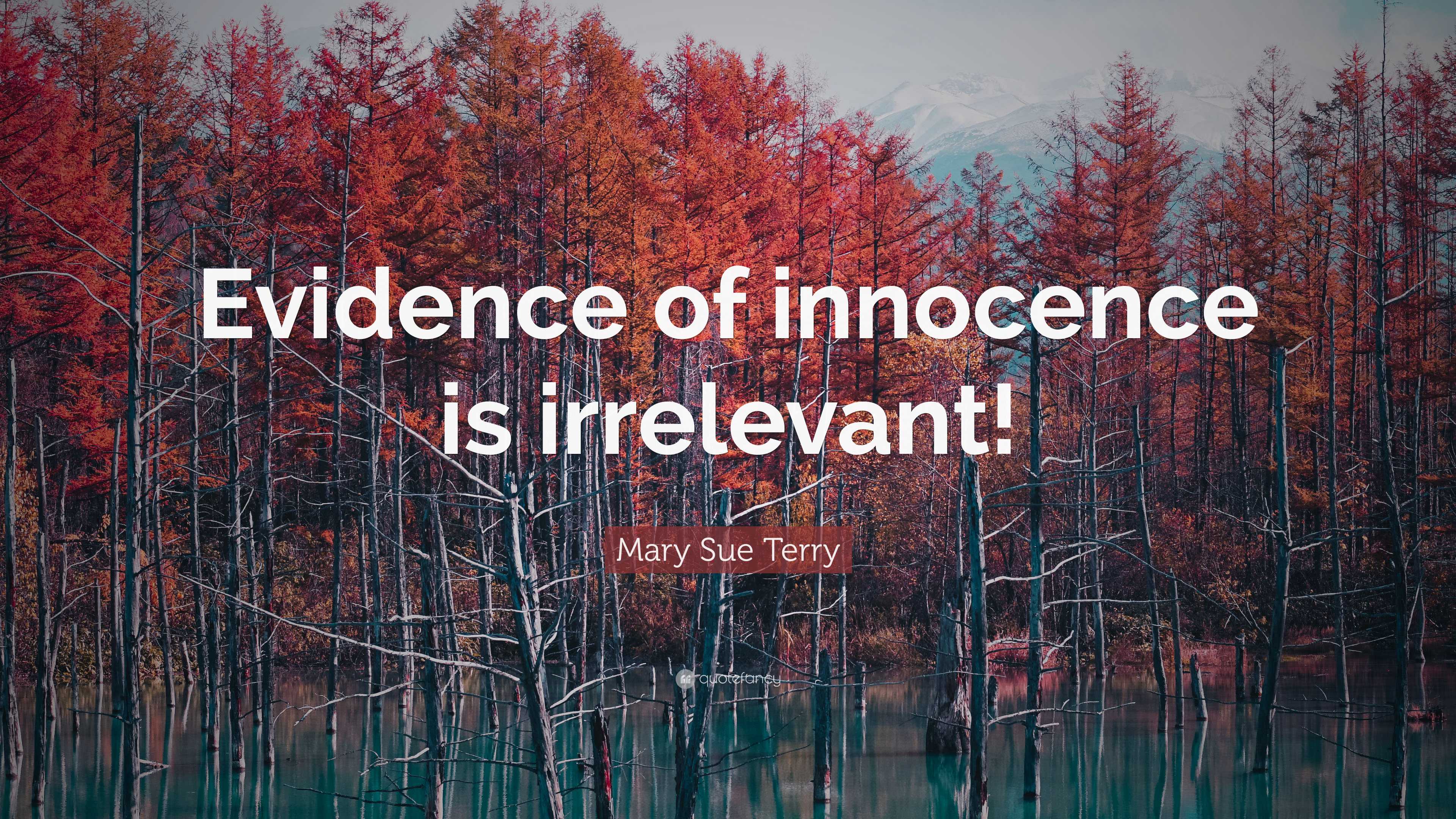 Mary Sue Terry Quote: “Evidence of innocence is irrelevant!”