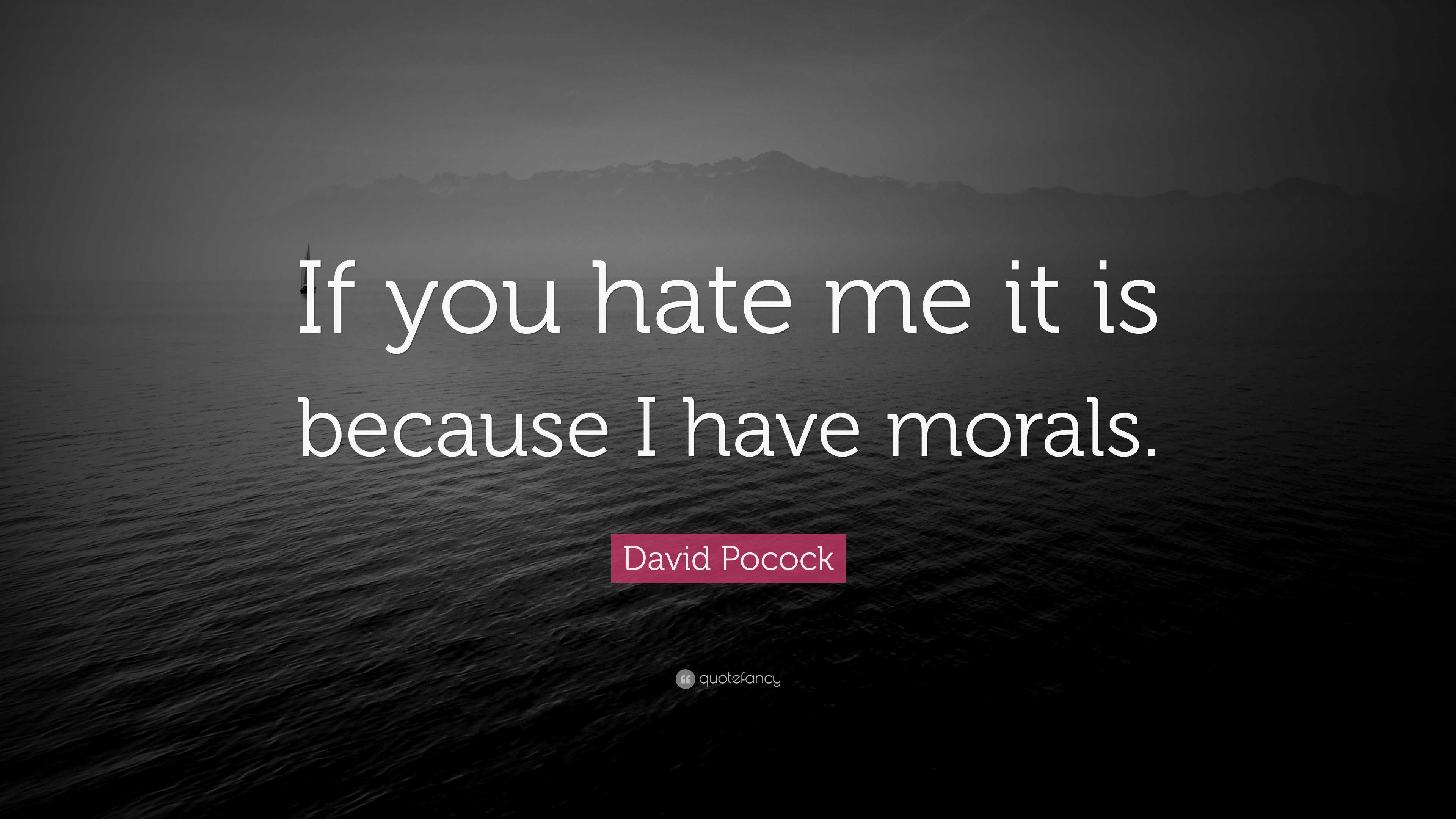 David Pocock Quote: “If you hate me it is because I have morals.”