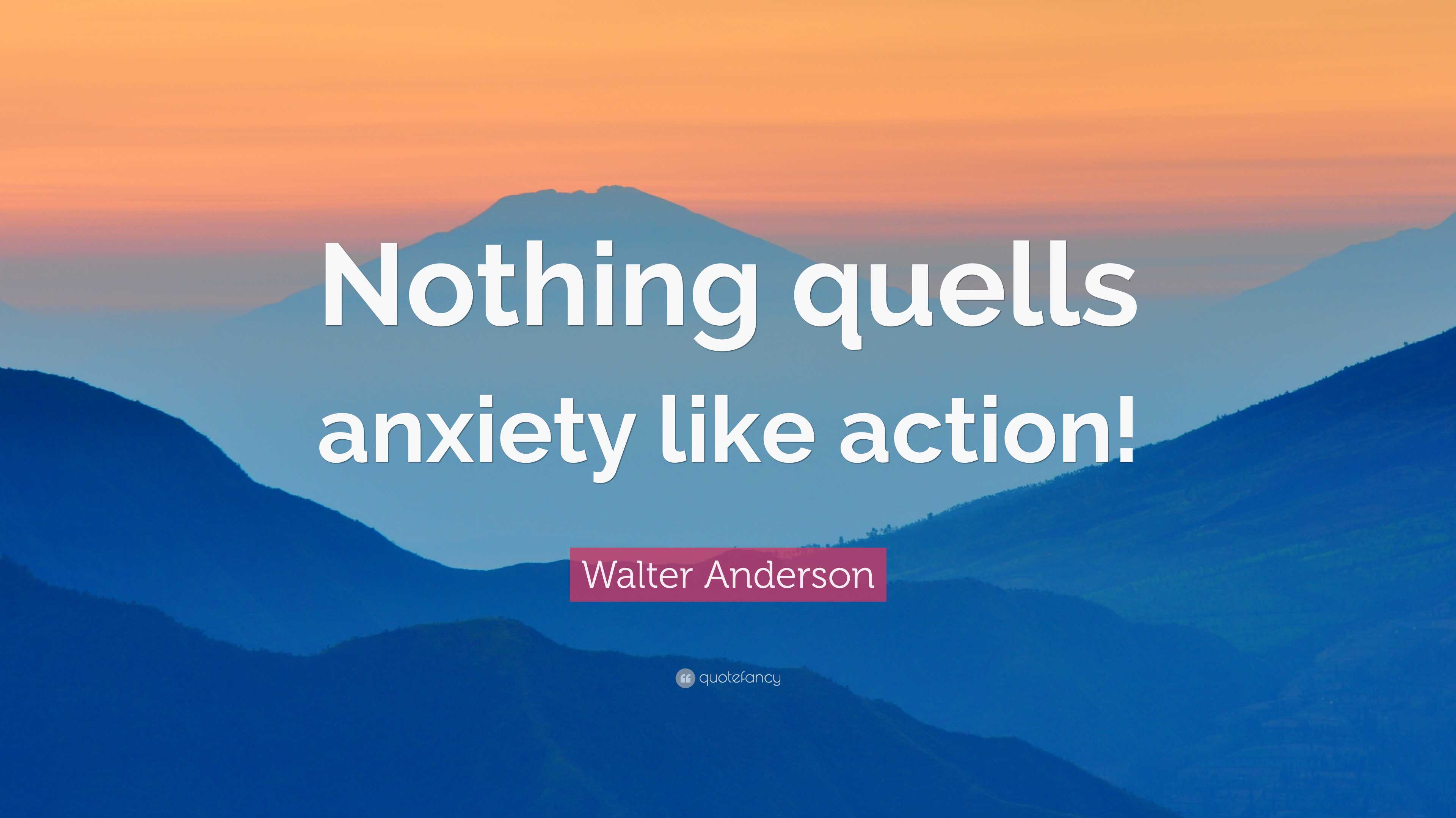 Walter Anderson Quote: “Nothing quells anxiety like action!”