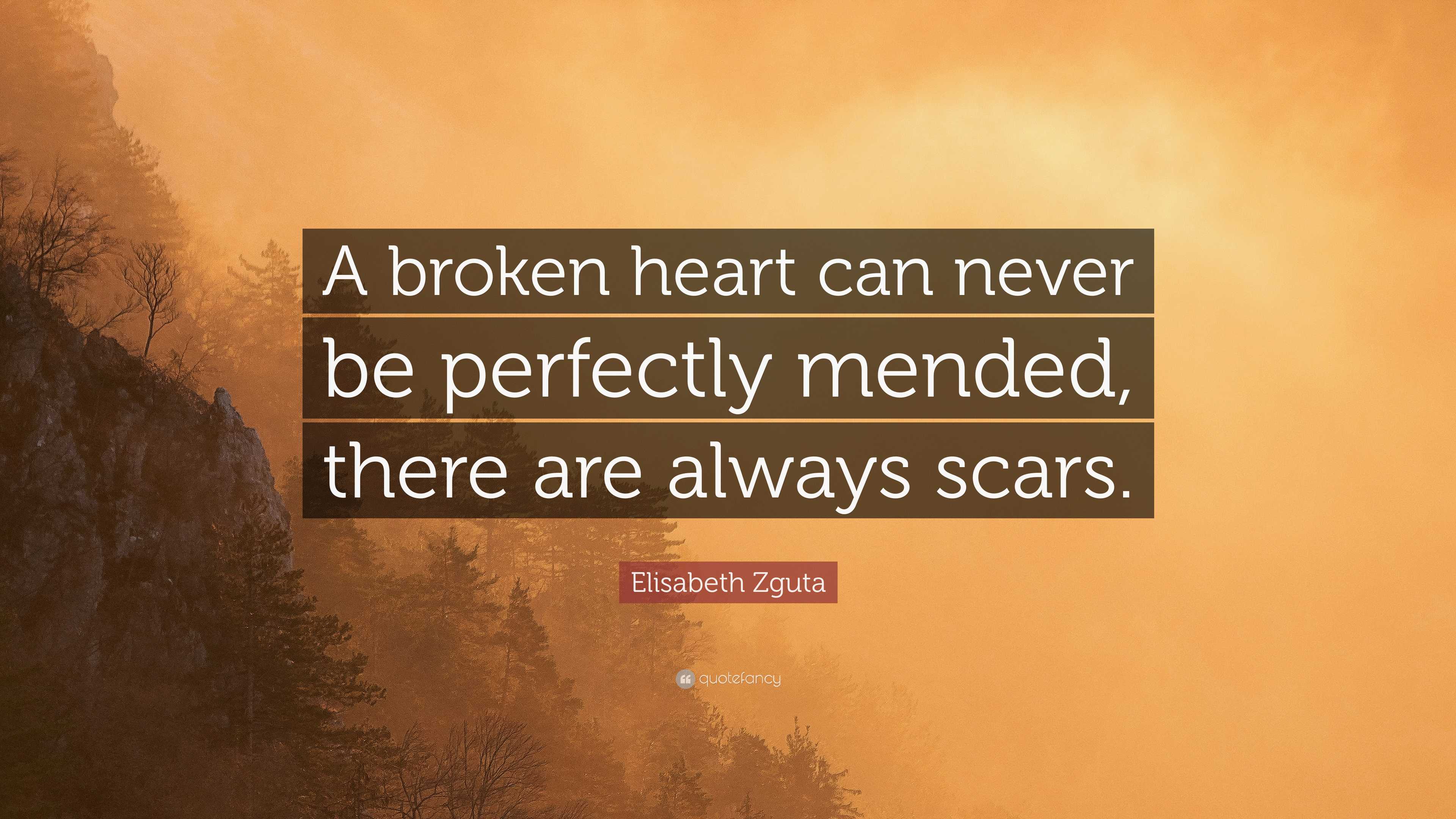 Elisabeth Zguta Quote: “A broken heart can never be perfectly mended ...