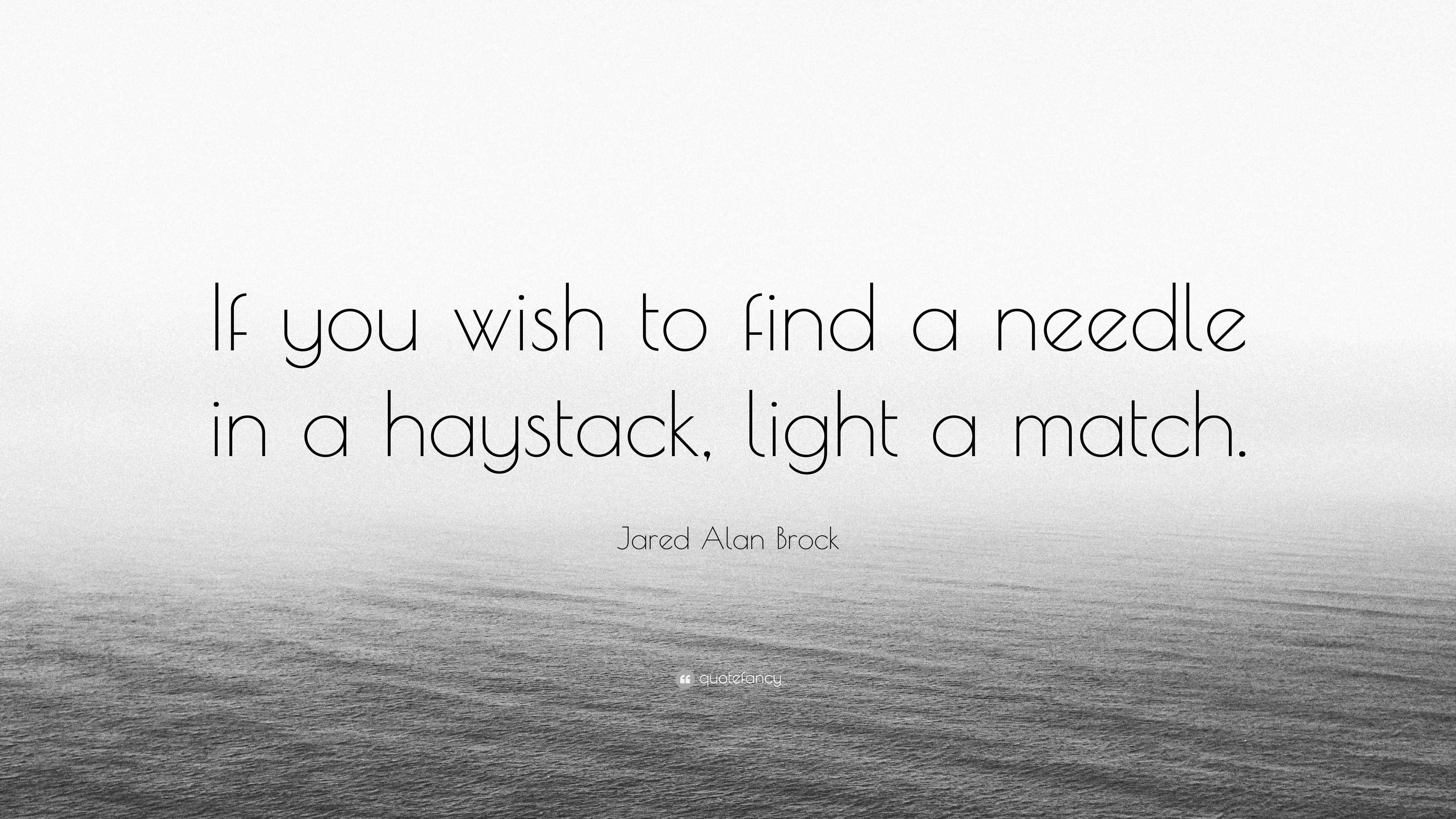Jared Alan Brock Quote: “If you wish to find a needle in a haystack ...