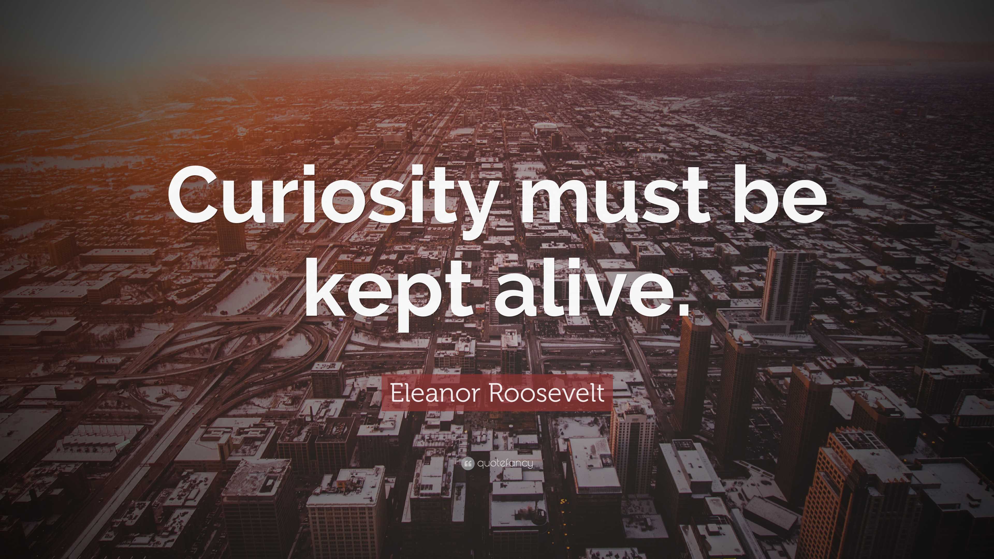 Eleanor Roosevelt Quote: “Curiosity must be kept alive.”