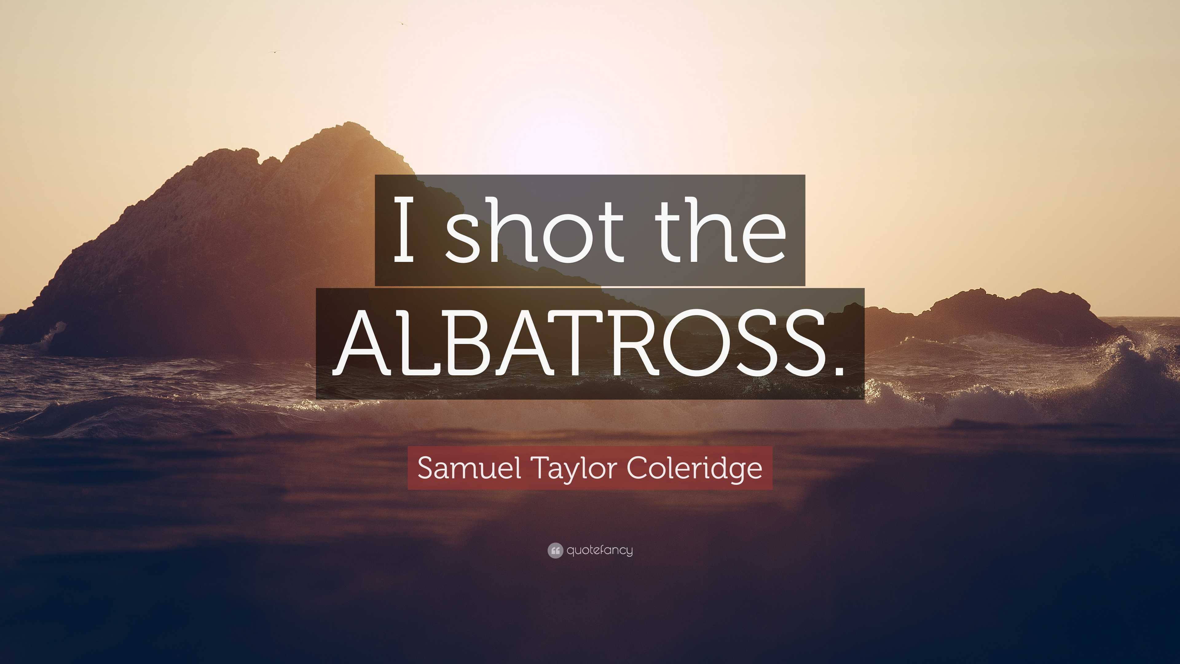 Samuel Taylor Coleridge Quote: “I shot the ALBATROSS.”