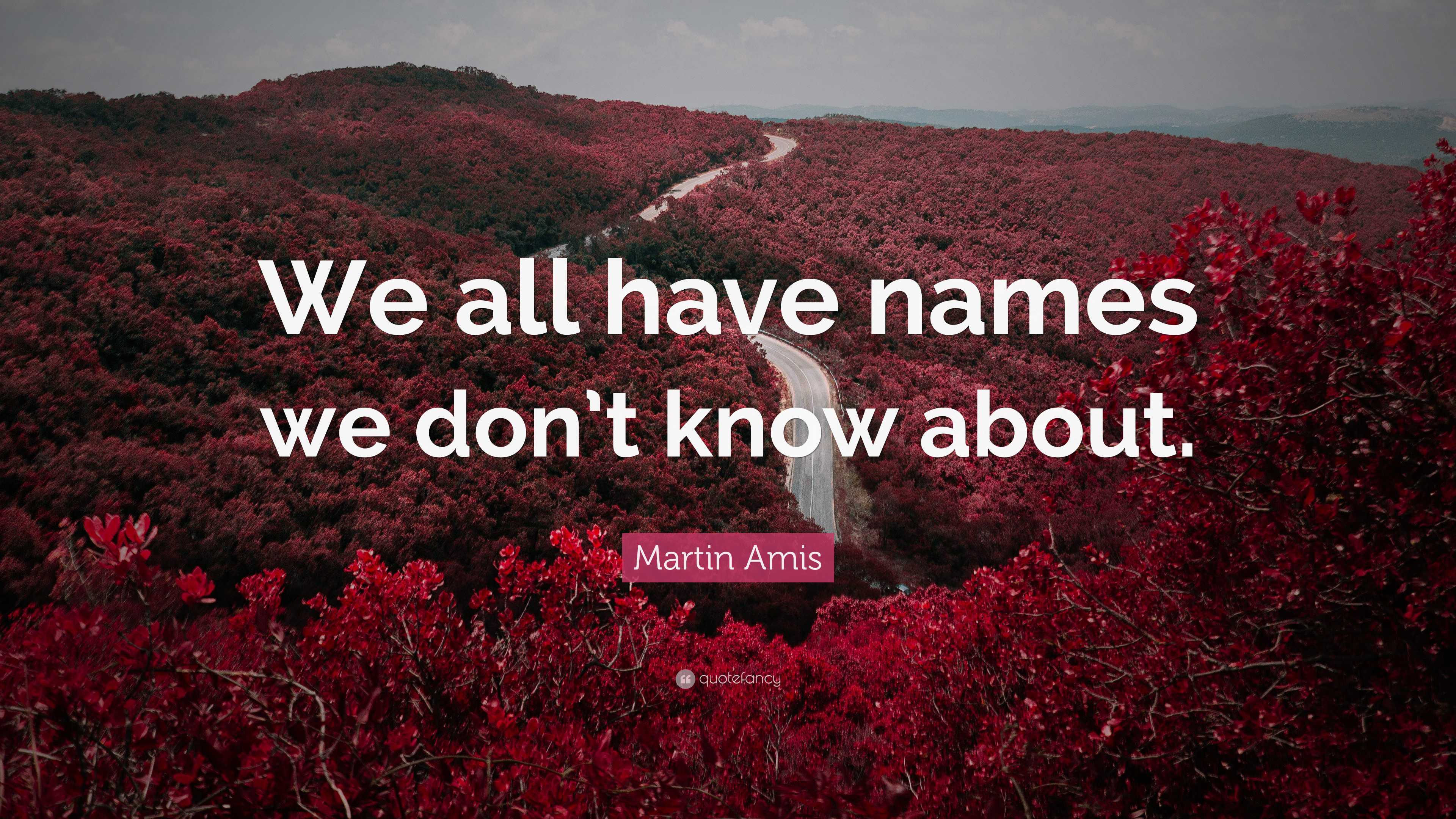 Martin Amis Quote: “We all have names we don’t know about.”