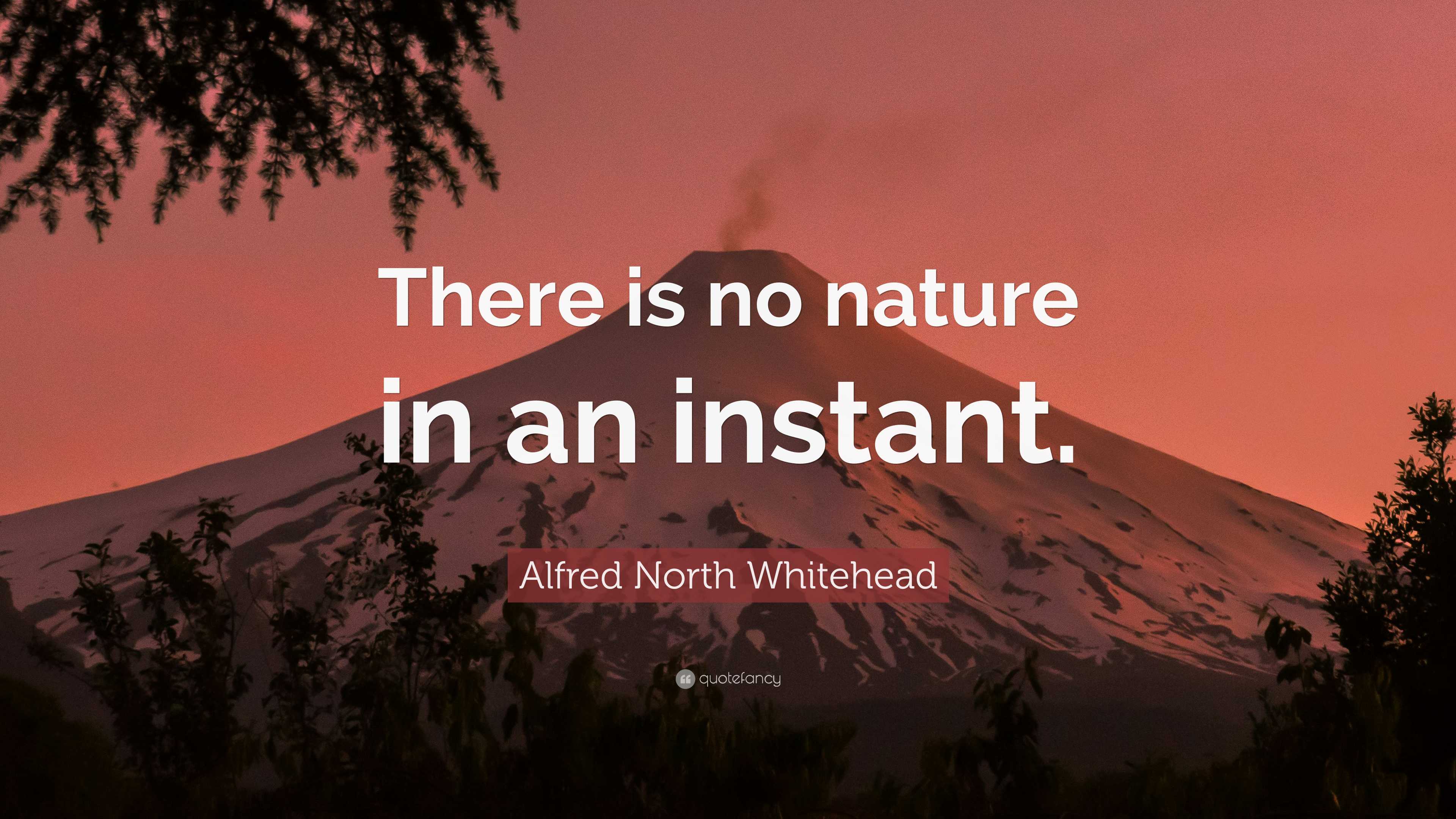 Alfred North Whitehead Quote: “There is no nature in an instant.”