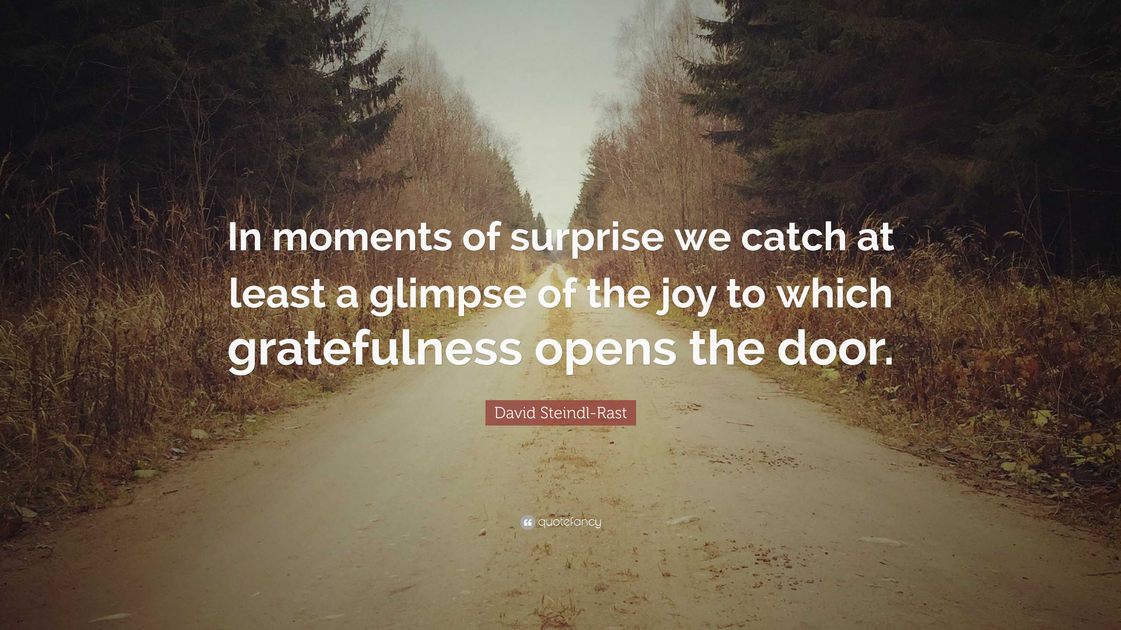David Steindl-Rast Quote: “In moments of surprise we catch at least a ...