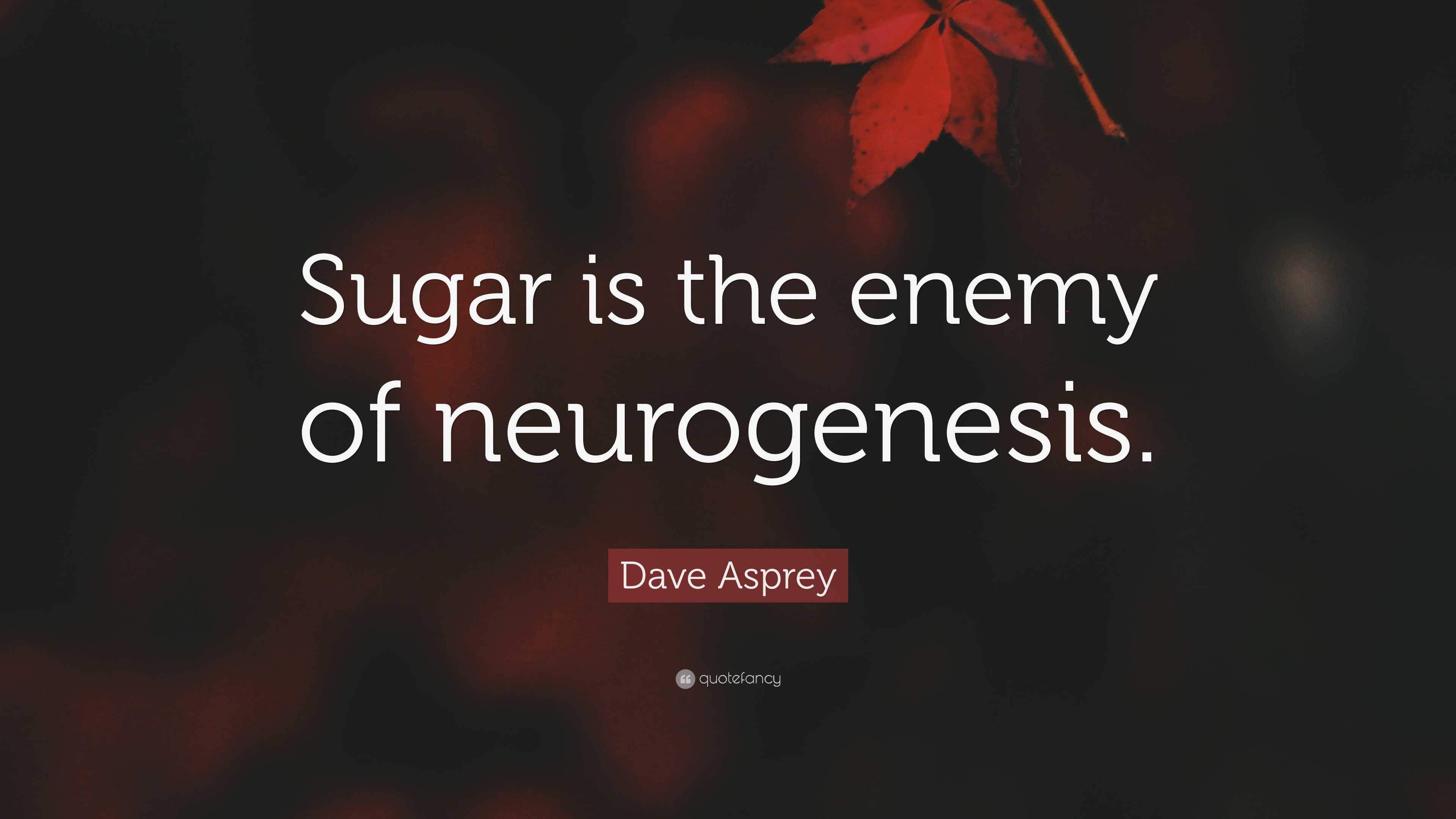 Dave Asprey Quote: “Sugar is the enemy of neurogenesis.”