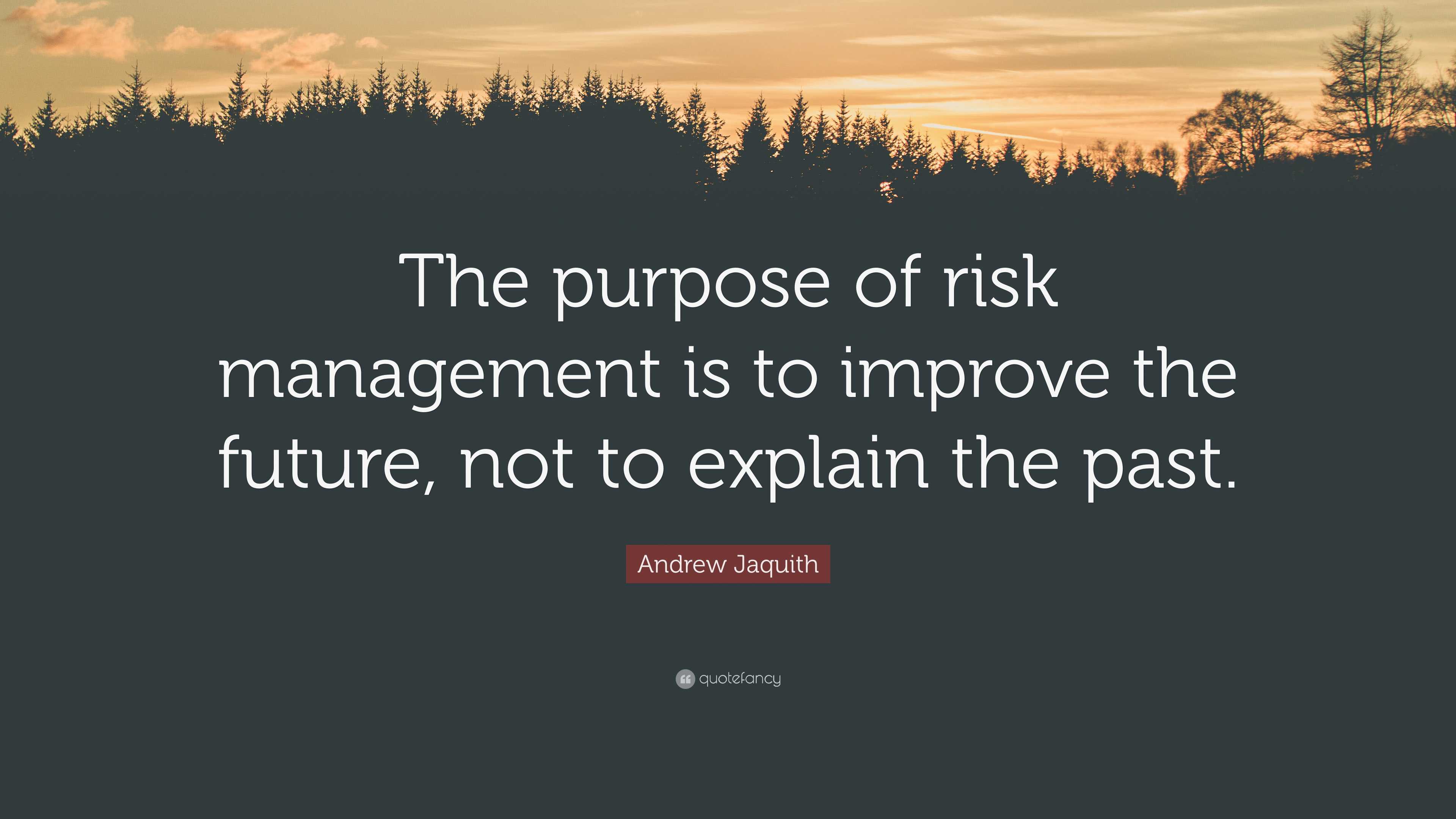 Andrew Jaquith Quote: “The purpose of risk management is to improve the ...