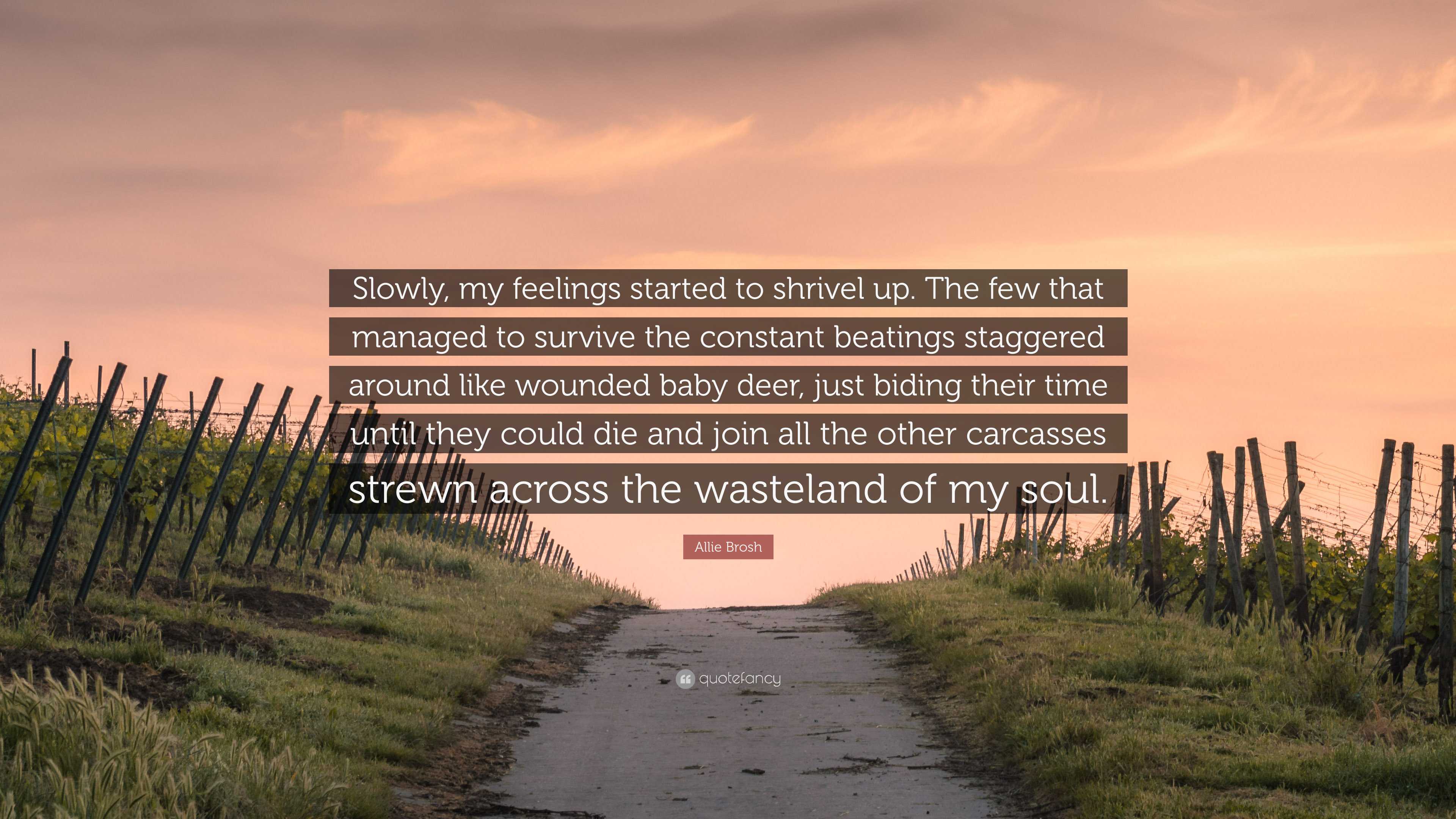 Allie Brosh Quote: “Slowly, my feelings started to shrivel up. The few ...