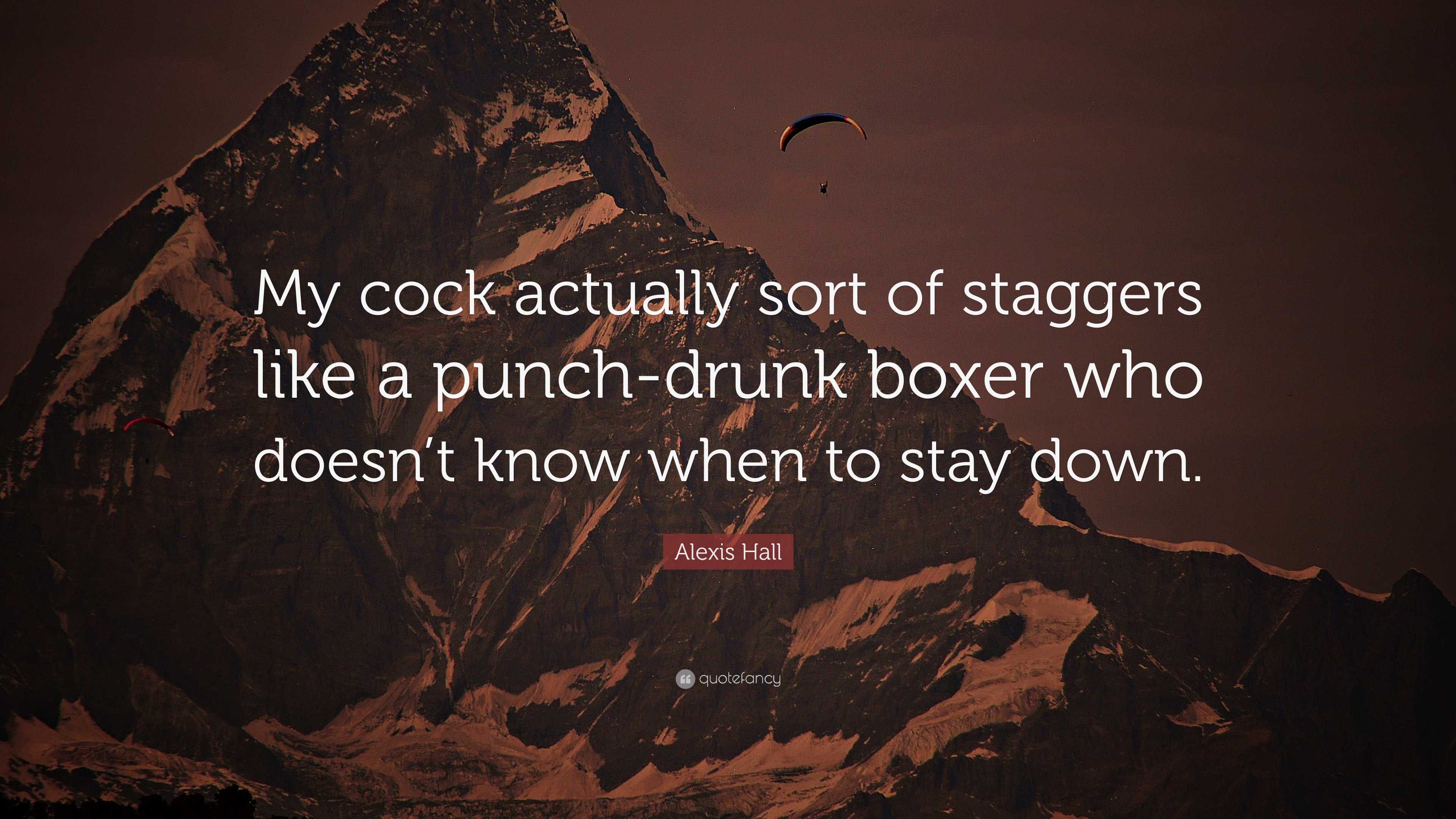 Alexis Hall Quote: “My cock actually sort of staggers like a punch ...