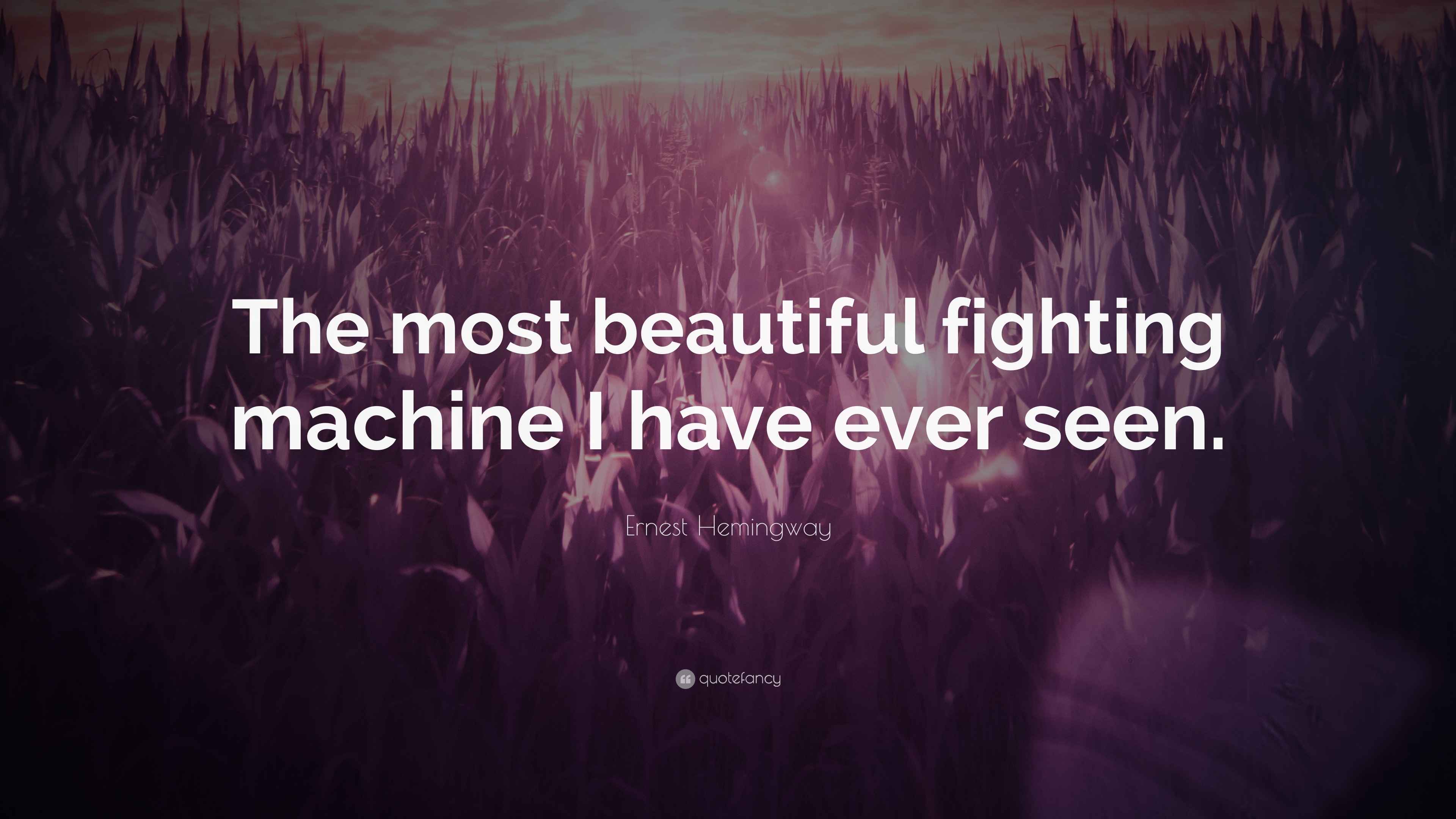 Ernest Hemingway Quote: “The most beautiful fighting machine I have ...