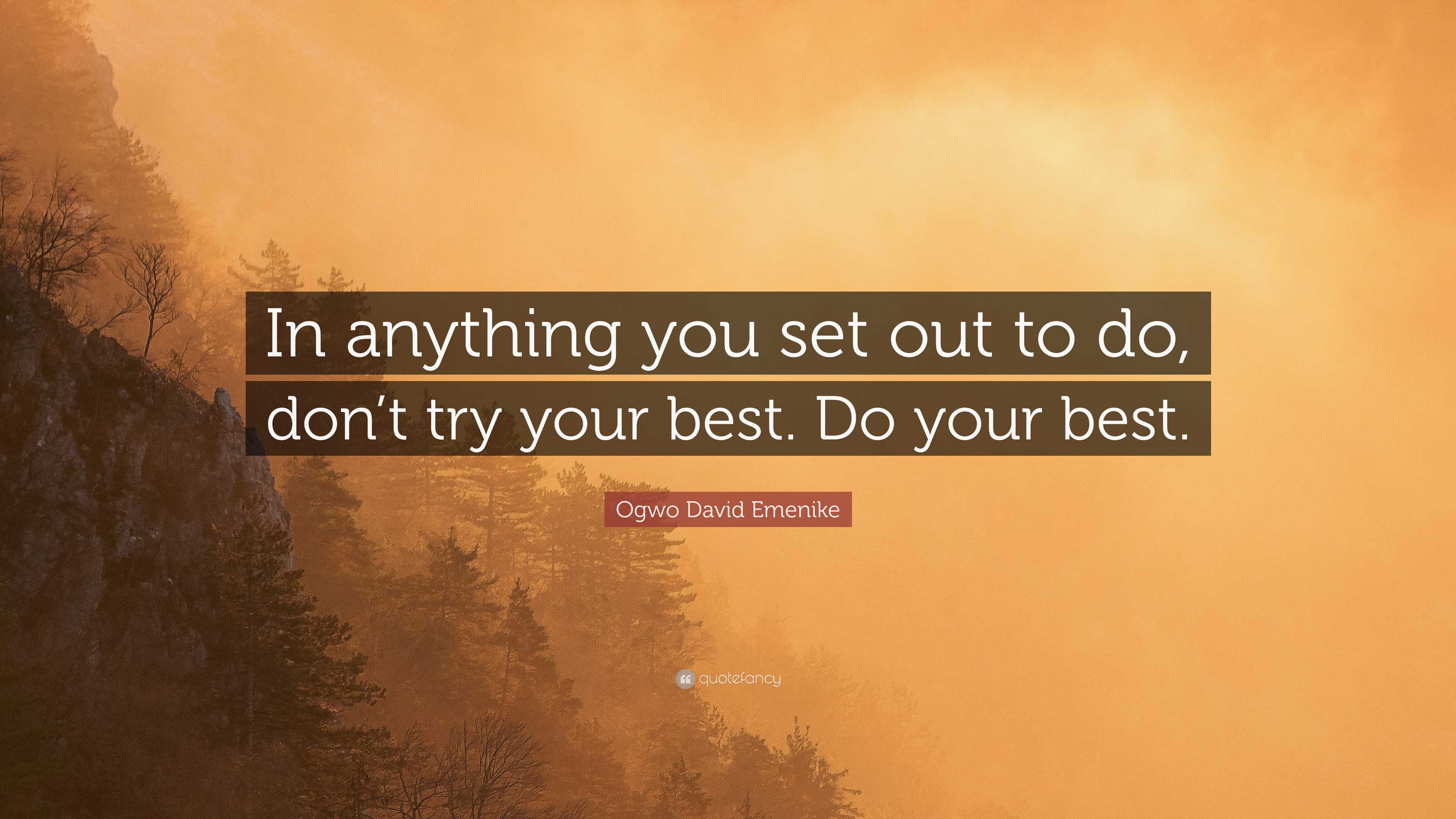 Ogwo David Emenike Quote: “In anything you set out to do, don’t try ...
