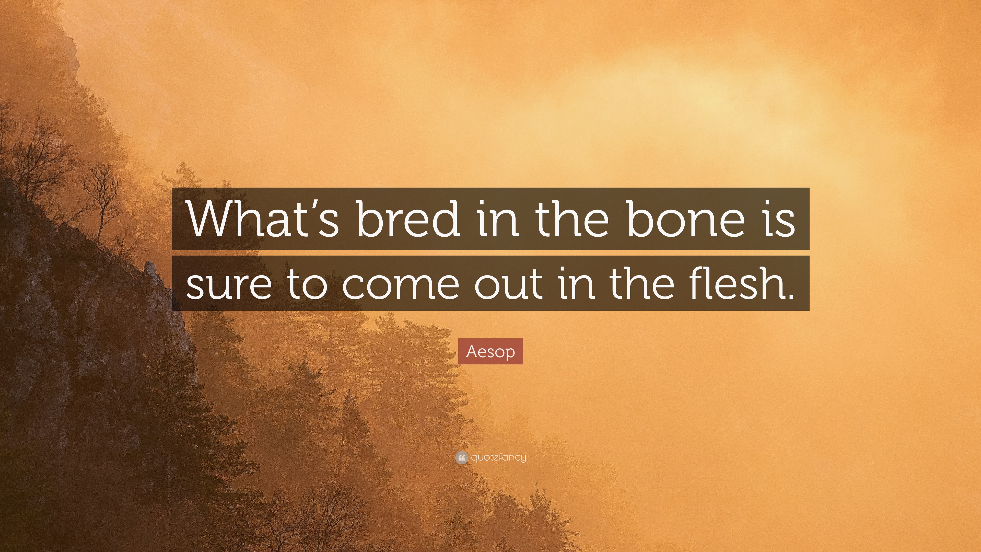 Aesop Quote: “What’s bred in the bone is sure to come out in the flesh.”