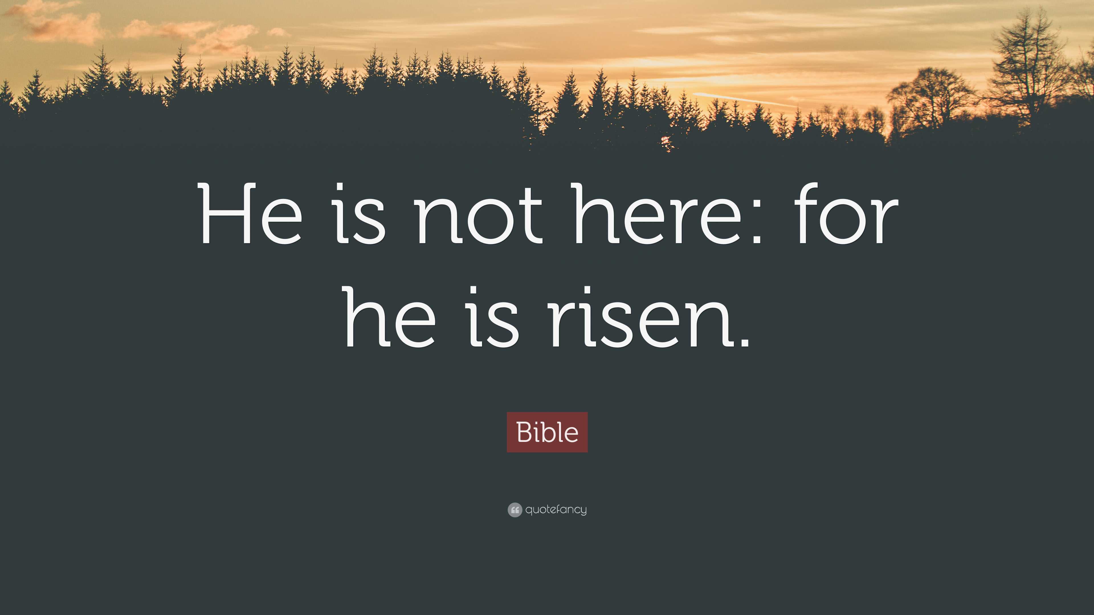 Bible Quote: “He is not here: for he is risen.”