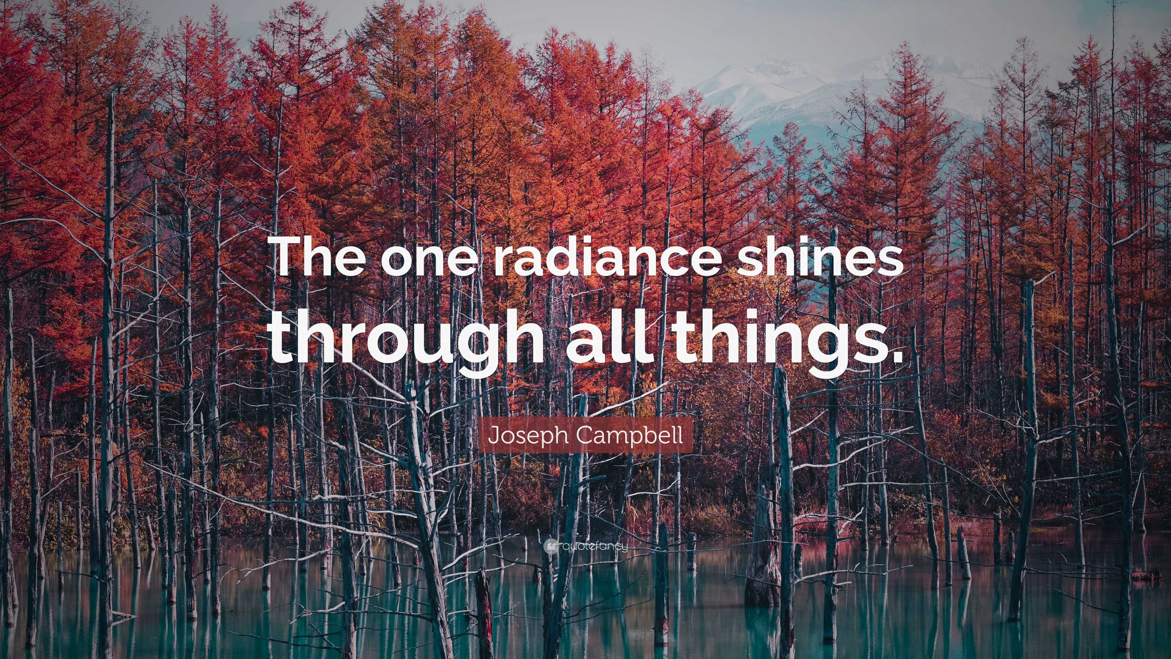 Joseph Campbell Quote: “The one radiance shines through all things.”